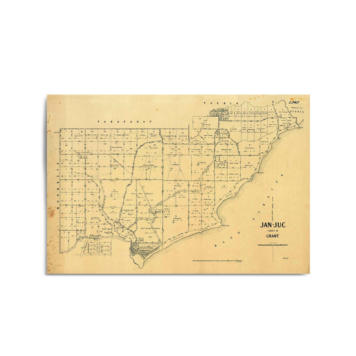 1889 Vintage Map of Anglesea, Victoria Australia – Vintage Maps