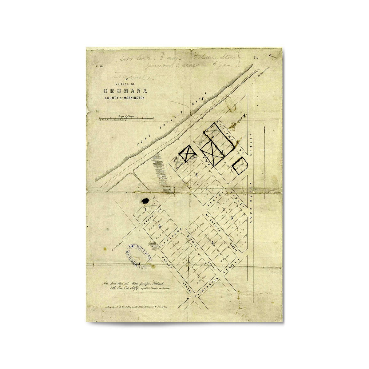 1858 Vintage Map of Dromana, Victoria – Vintage Maps