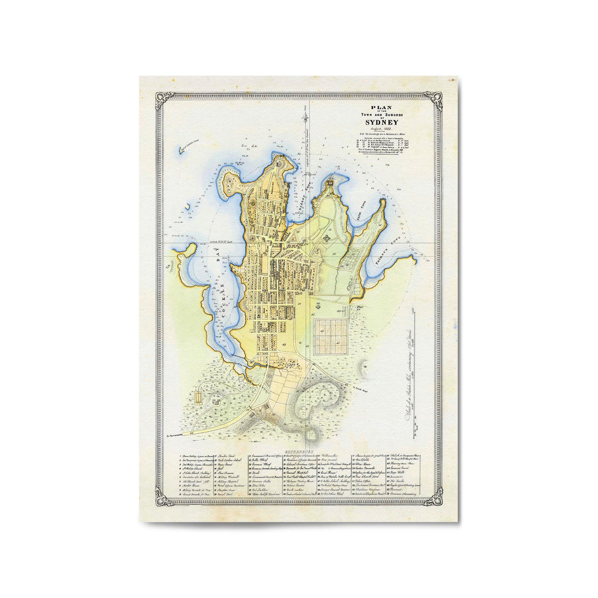1822 Coloured Plan of the Town and Suburbs of Sydney, New South Wales ...