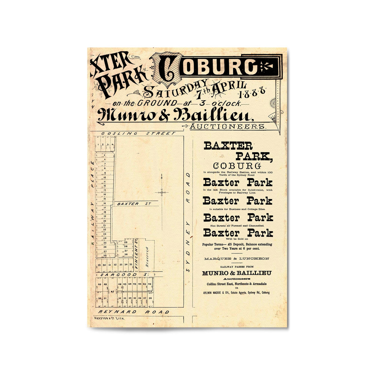 1888 Vintage Map of Coburg, Victoria Australia – Vintage Maps