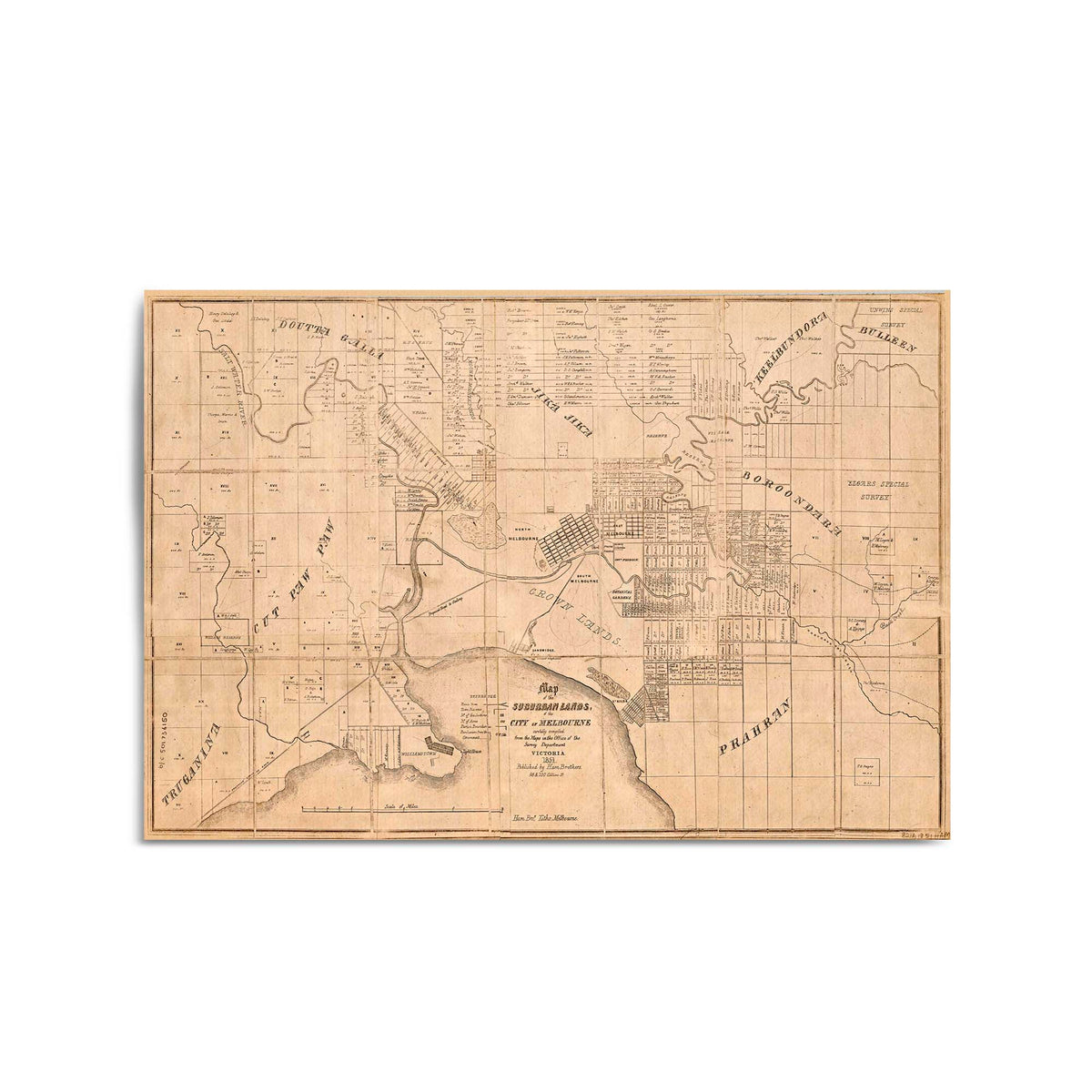 1851 Map of Melbourne and Suburbs – Vintage Maps