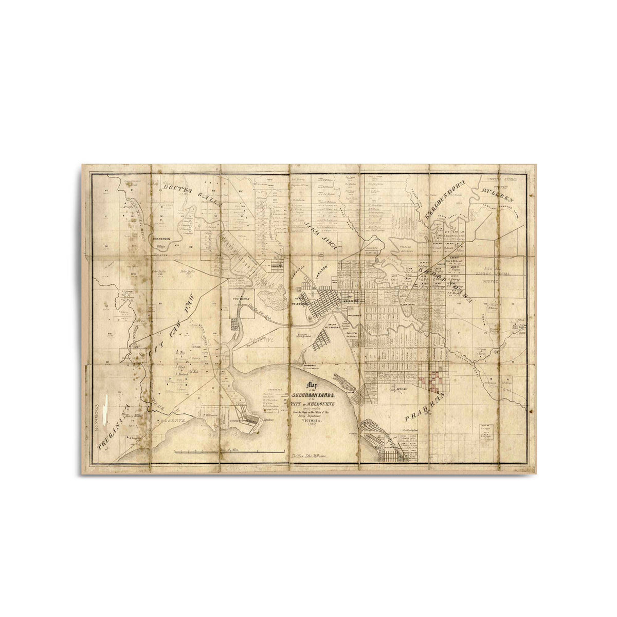 1852 Map of Melbourne and Suburbs – Vintage Maps