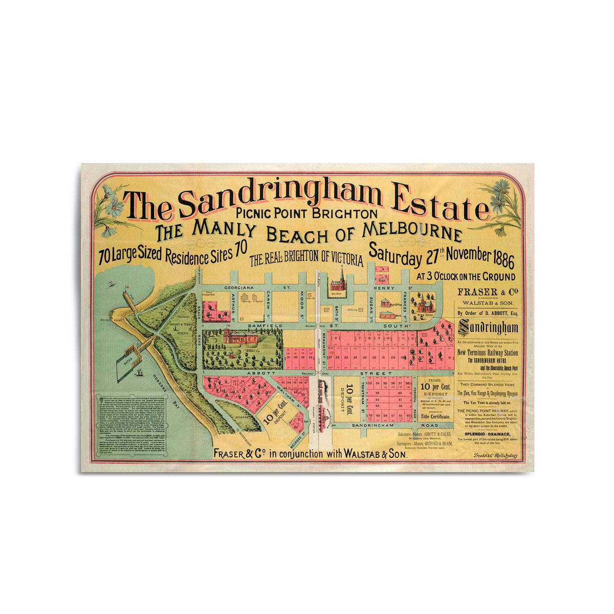 1886 Vintage Map of Sandringham, Victoria Australia – Vintage Maps