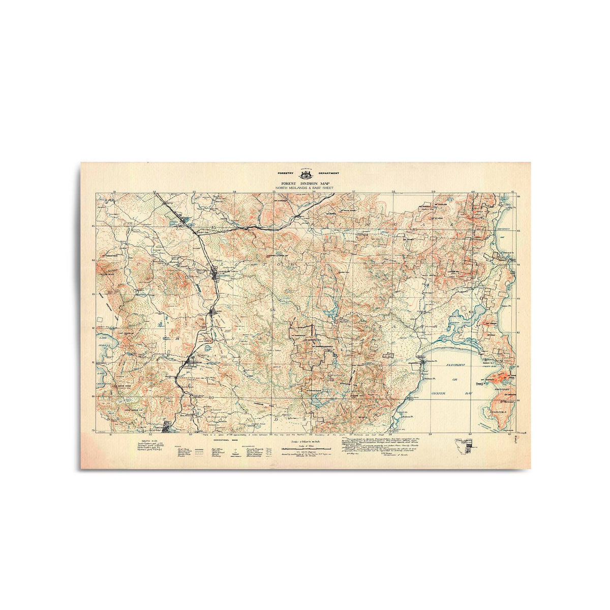 1944 Forest Division Map of Ross & Surrounds, Tasmania – Vintage Maps