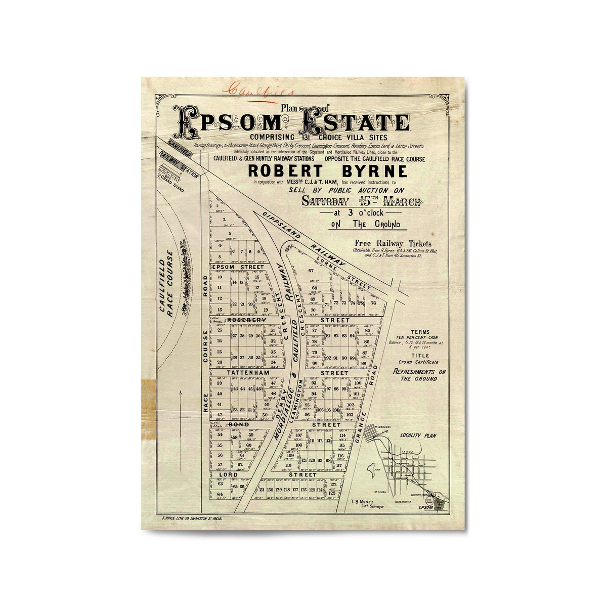 1884 Vintage Map of Caulfield, Victoria Australia – Vintage Maps