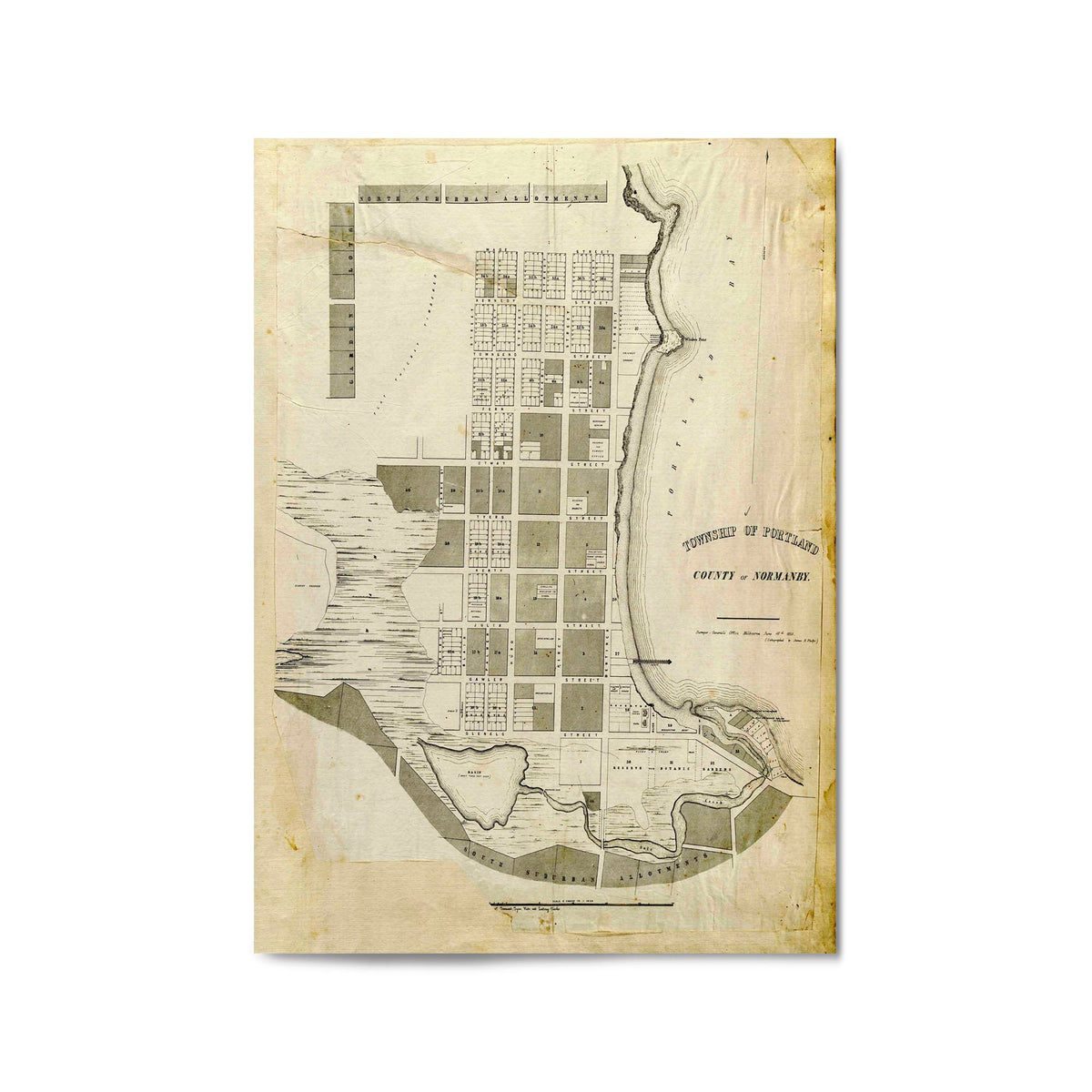 1855 Vintage Map of Portland, Victoria Australia – Vintage Maps