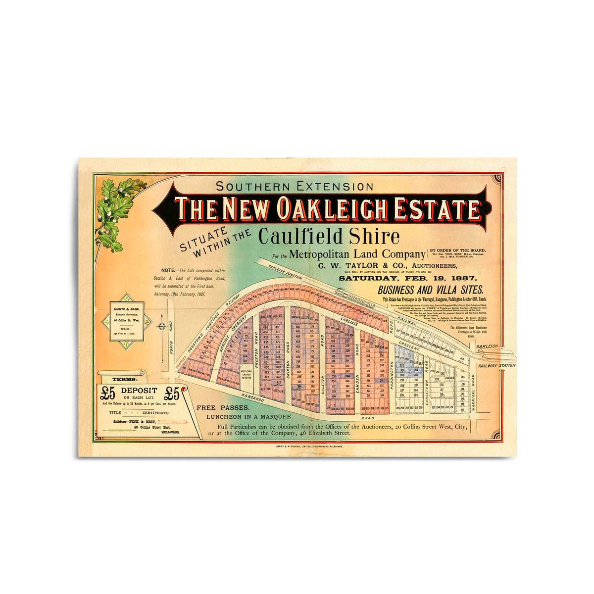 1887 Vintage Map of Caulfield, Victoria Australia – Vintage Maps