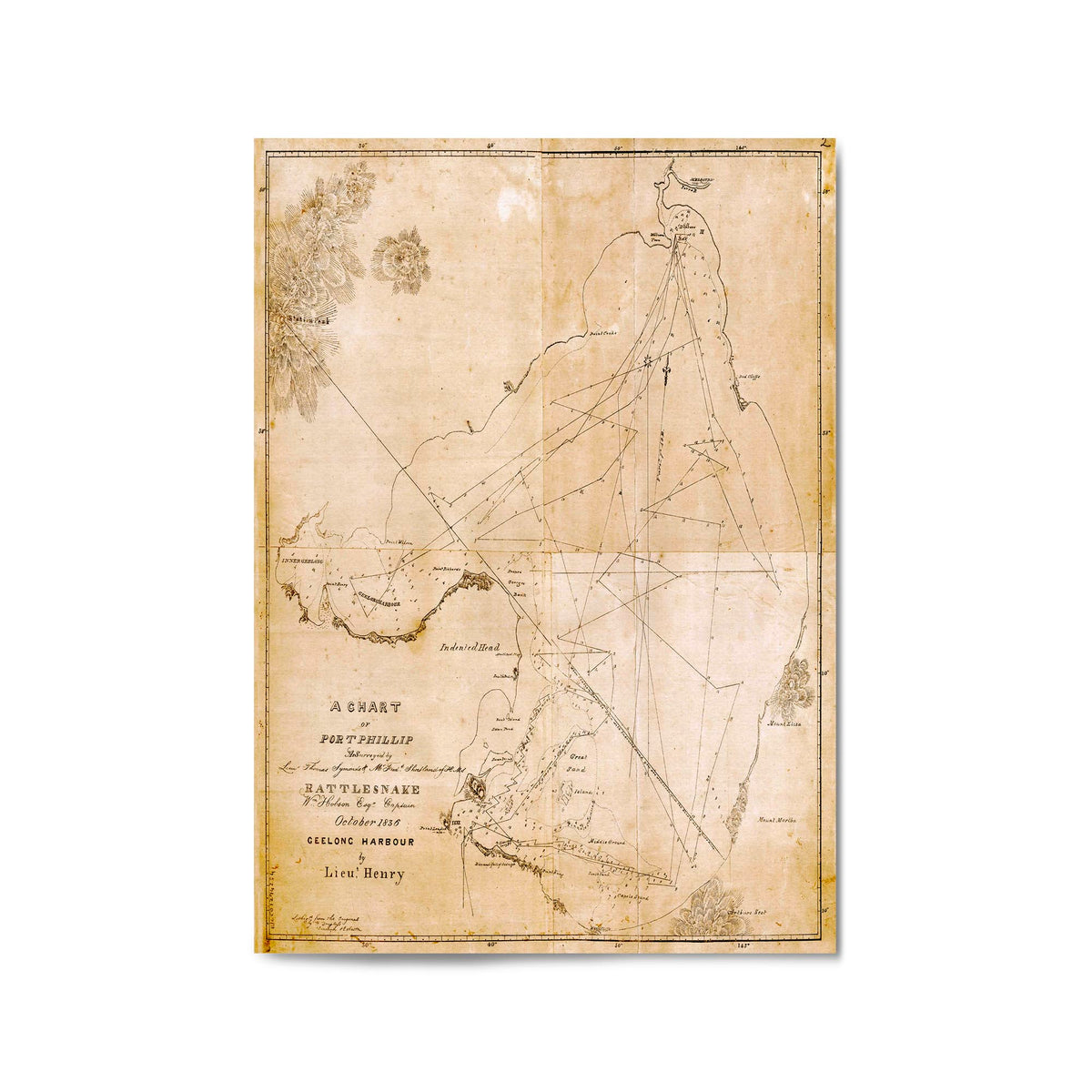 1836 Vintage Map of Melbourne, Victoria, Australia – Vintage Maps