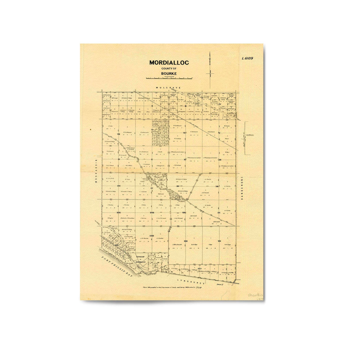 1884 Vintage Map of Mordialloc, Victoria Australia – Vintage Maps