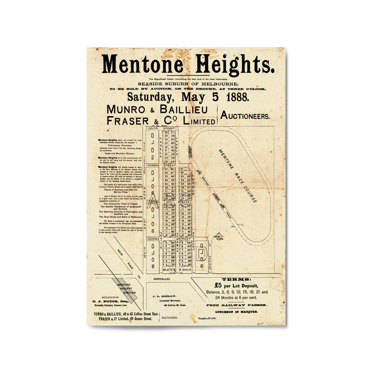 1888 Vintage Map of Mentone, Victoria Australia – Vintage Maps