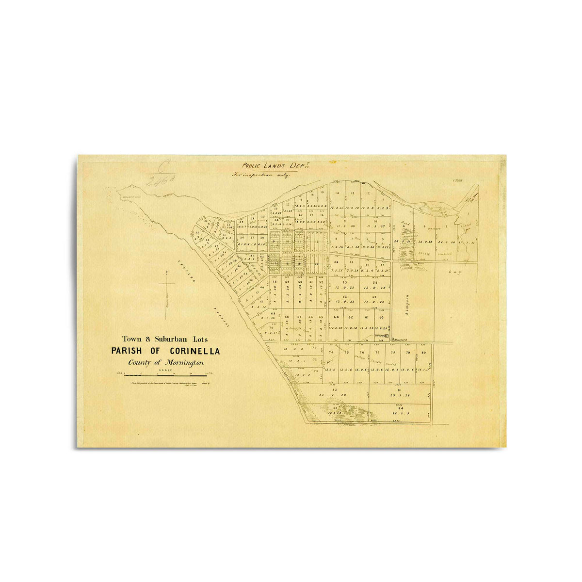 1864 Vintage Map of Corinella, Victoria Australia – Vintage Maps