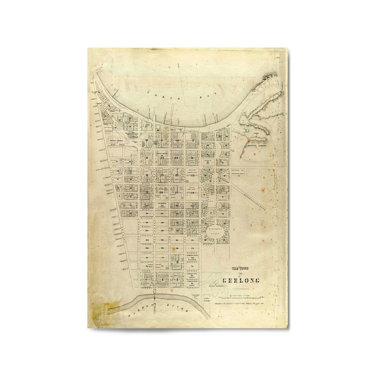 1865 Vintage Map of Geelong, Victoria – Vintage Maps