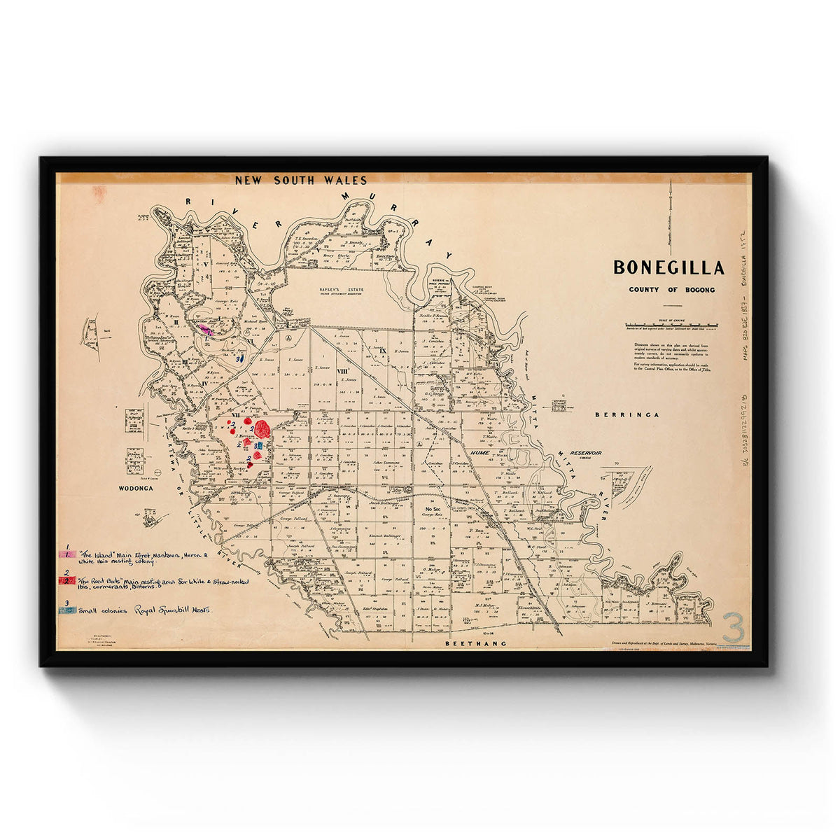 Bonegilla, Victoria Australia Vintage Map #1 (1952) – Vintage Maps