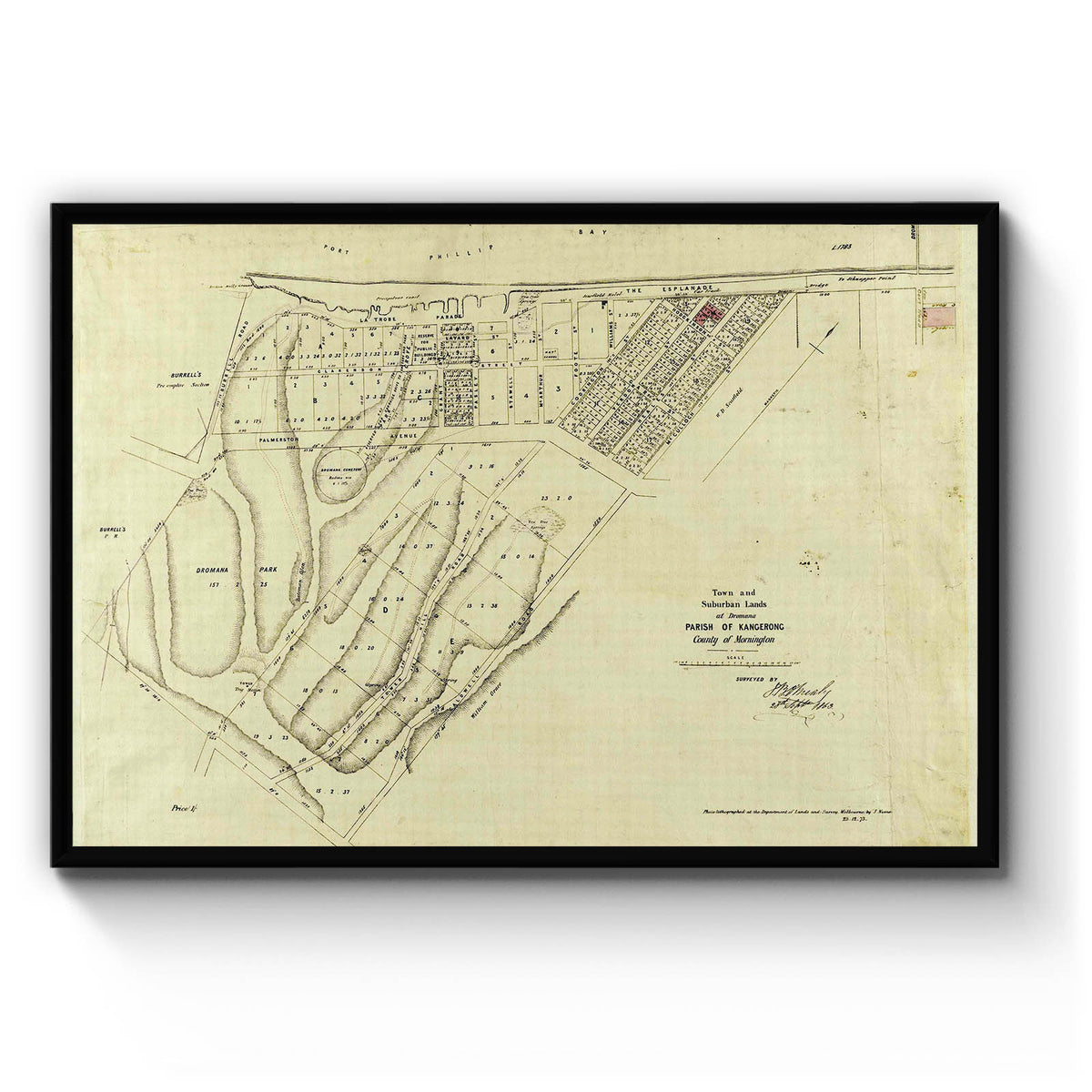 Dromana, Victoria Australia Vintage Map #3 (1873) – Vintage Maps