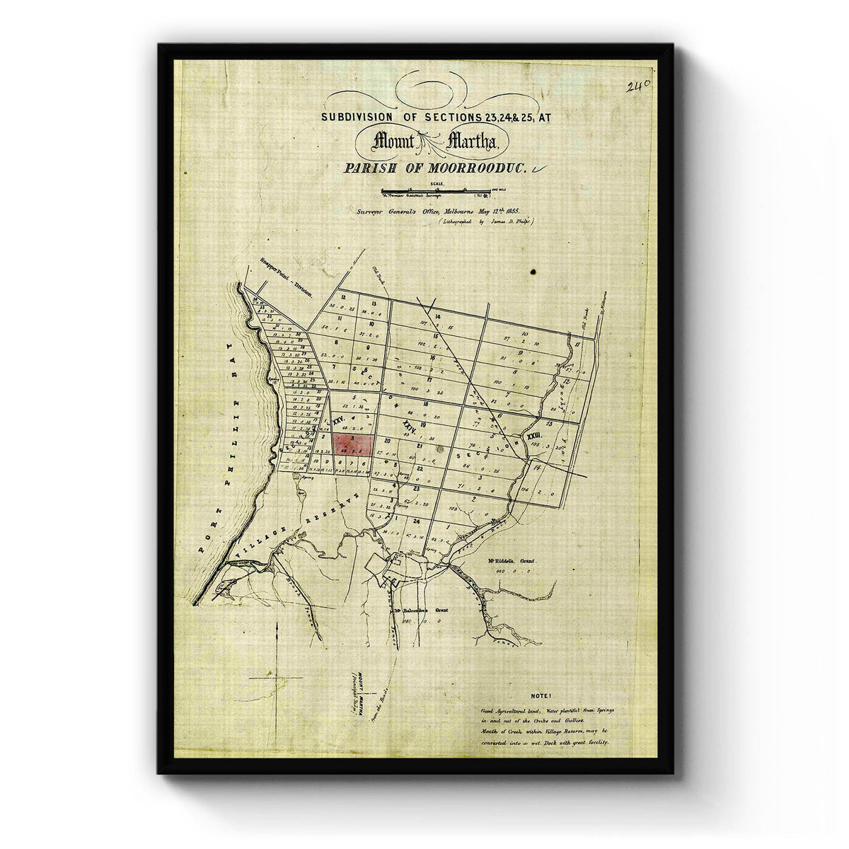 Mount Martha, Victoria Australia Vintage Map #12 (1855) – Vintage Maps