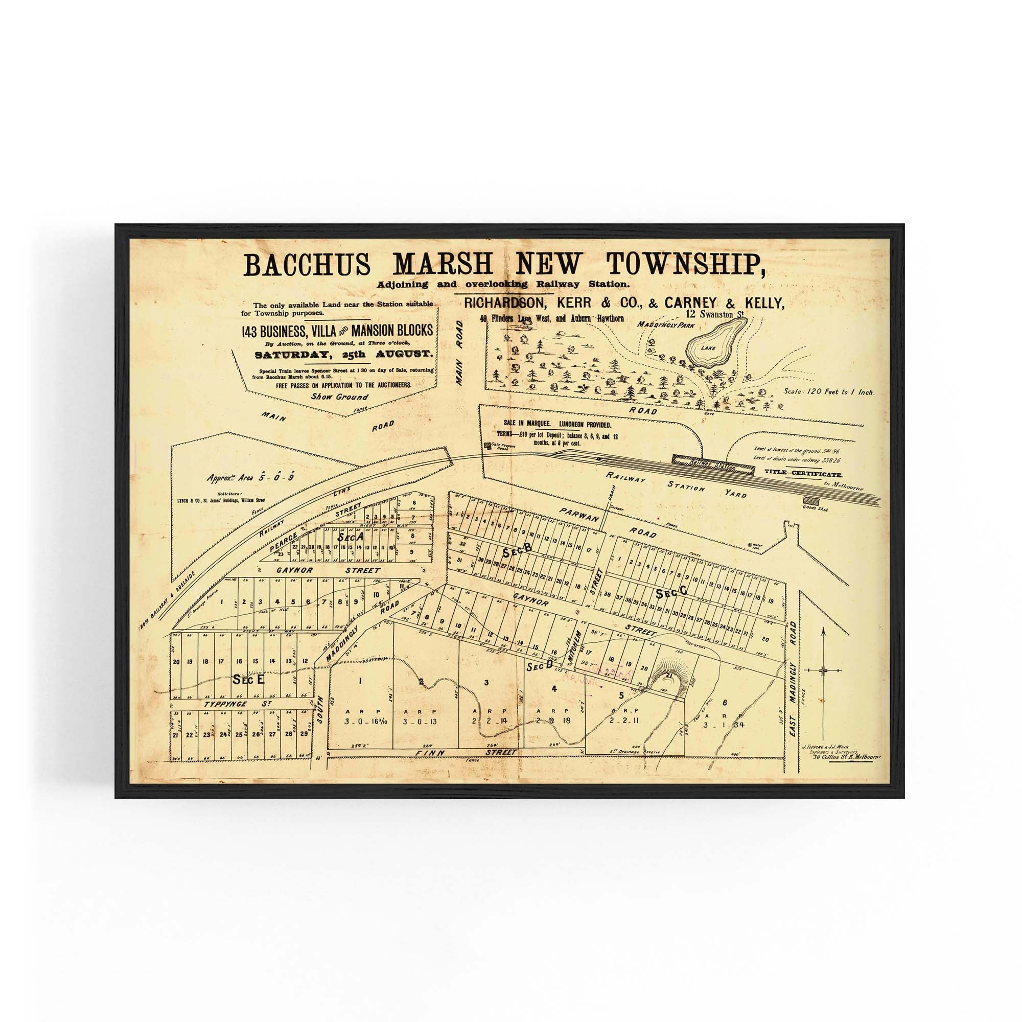 1888 Vintage Map of Bacchus Marsh, Victoria Australia – Vintage Maps