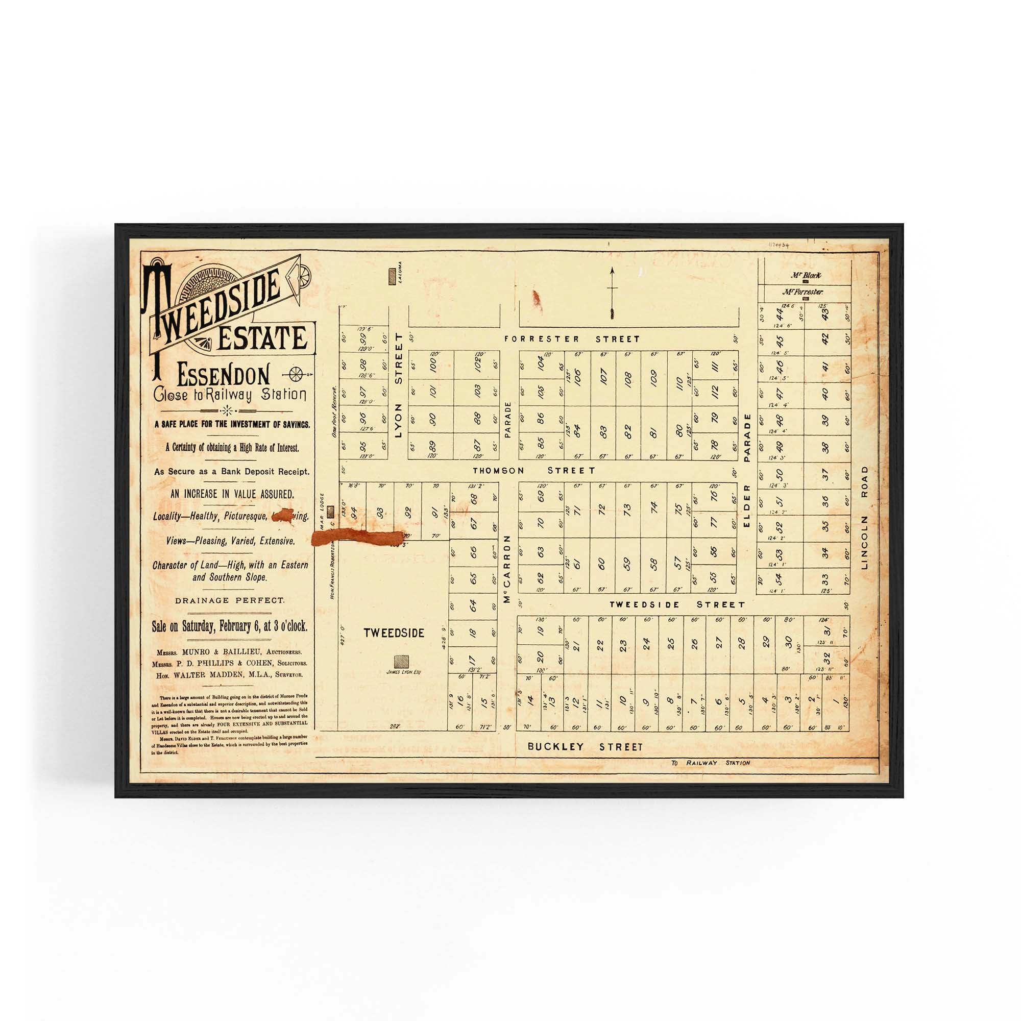 1886 Vintage Map of Essendon, Victoria Australia – Vintage Maps