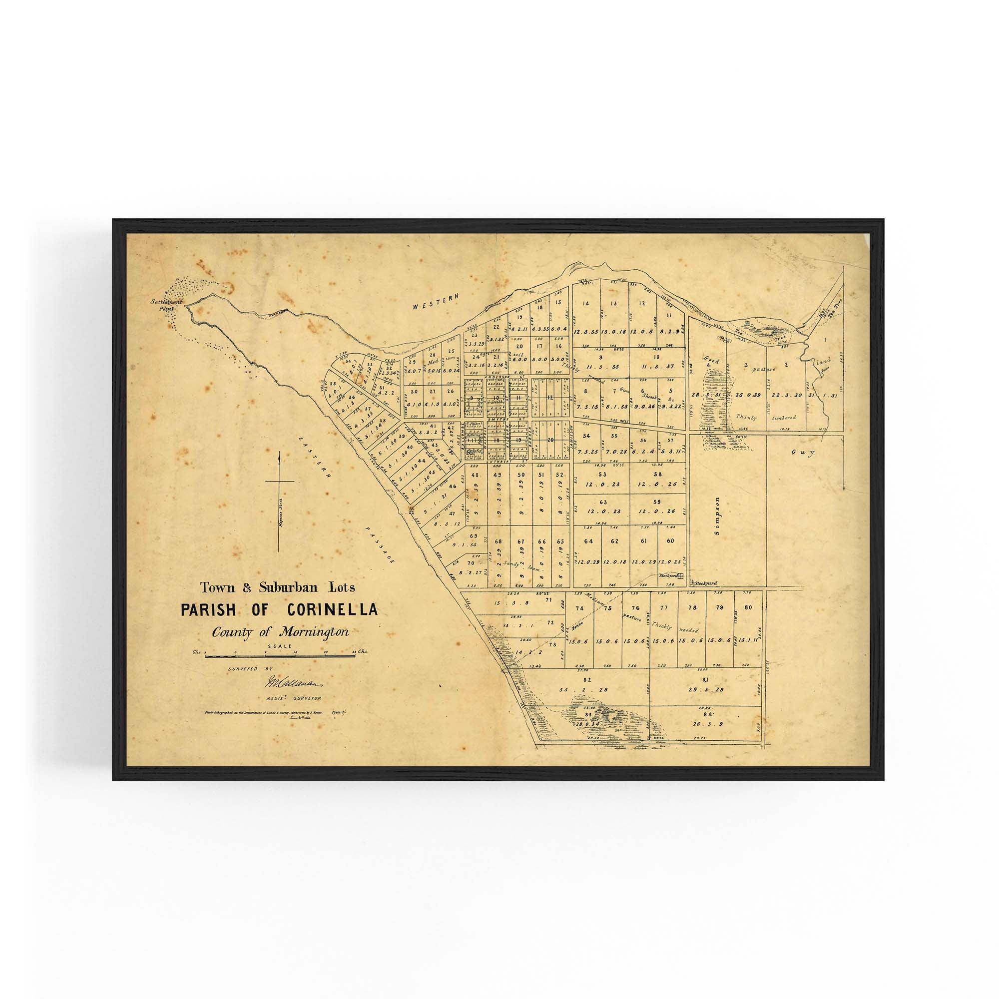1864 Vintage Map of Corinella, Victoria Australia – Vintage Maps