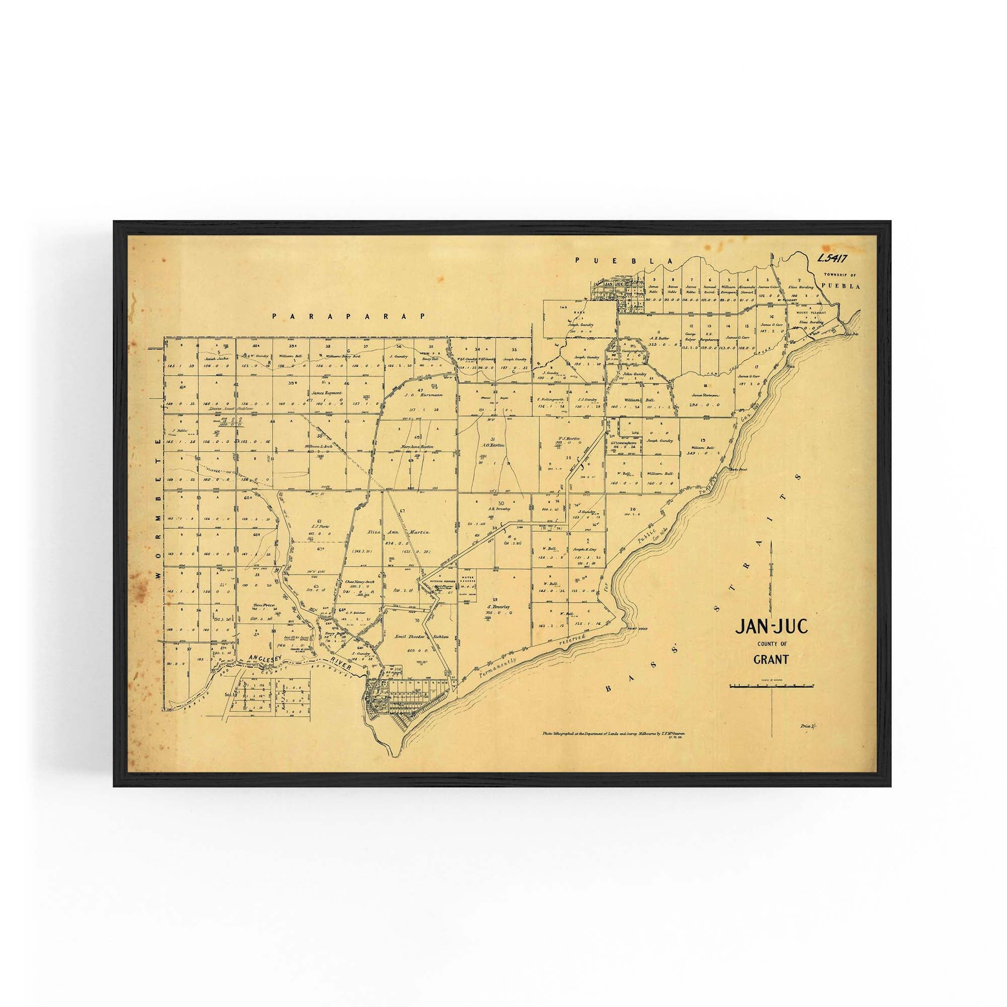 1889 Vintage Map of Anglesea, Victoria Australia – Vintage Maps