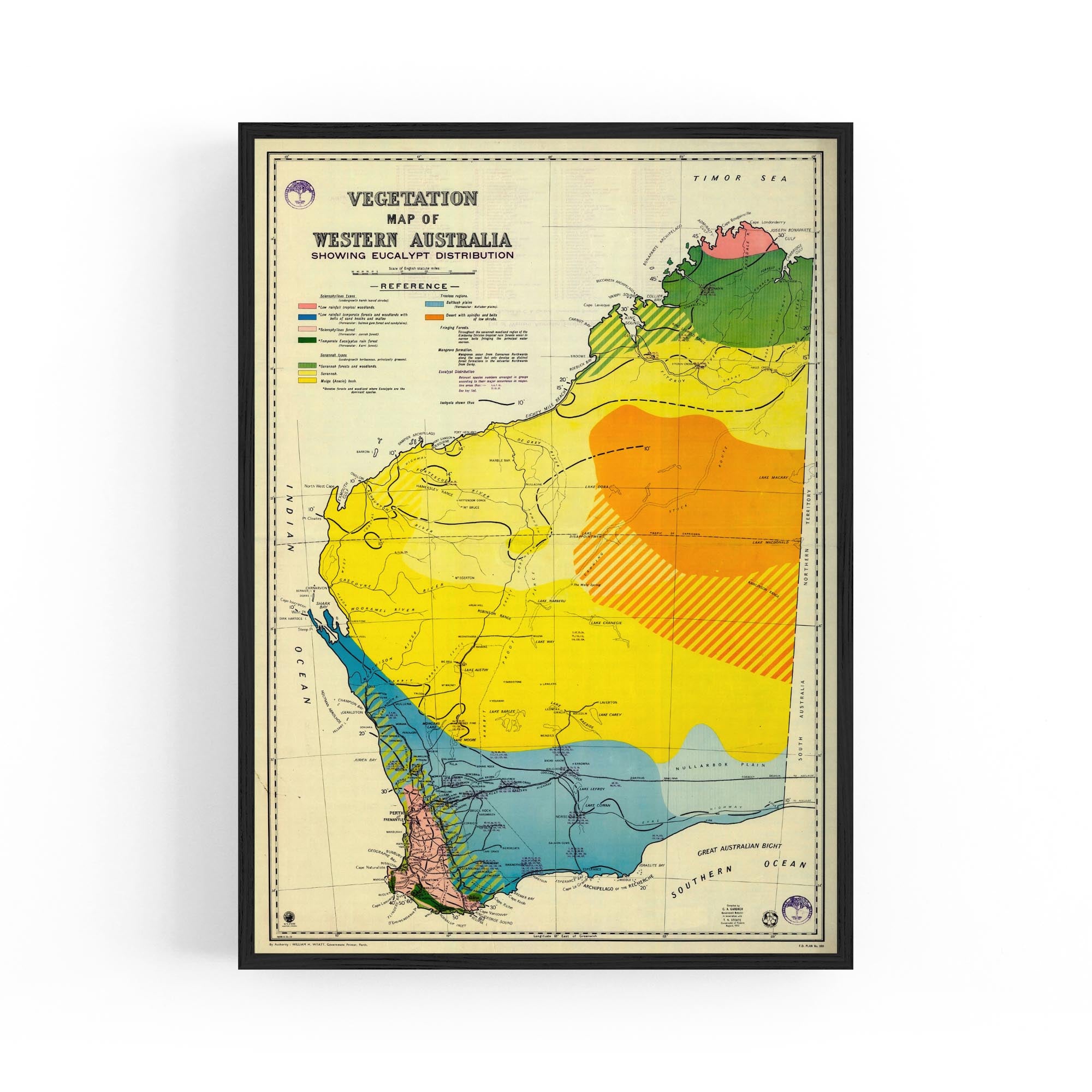 Vegetation Wall Map Of Australia 1929 Vivid Maps