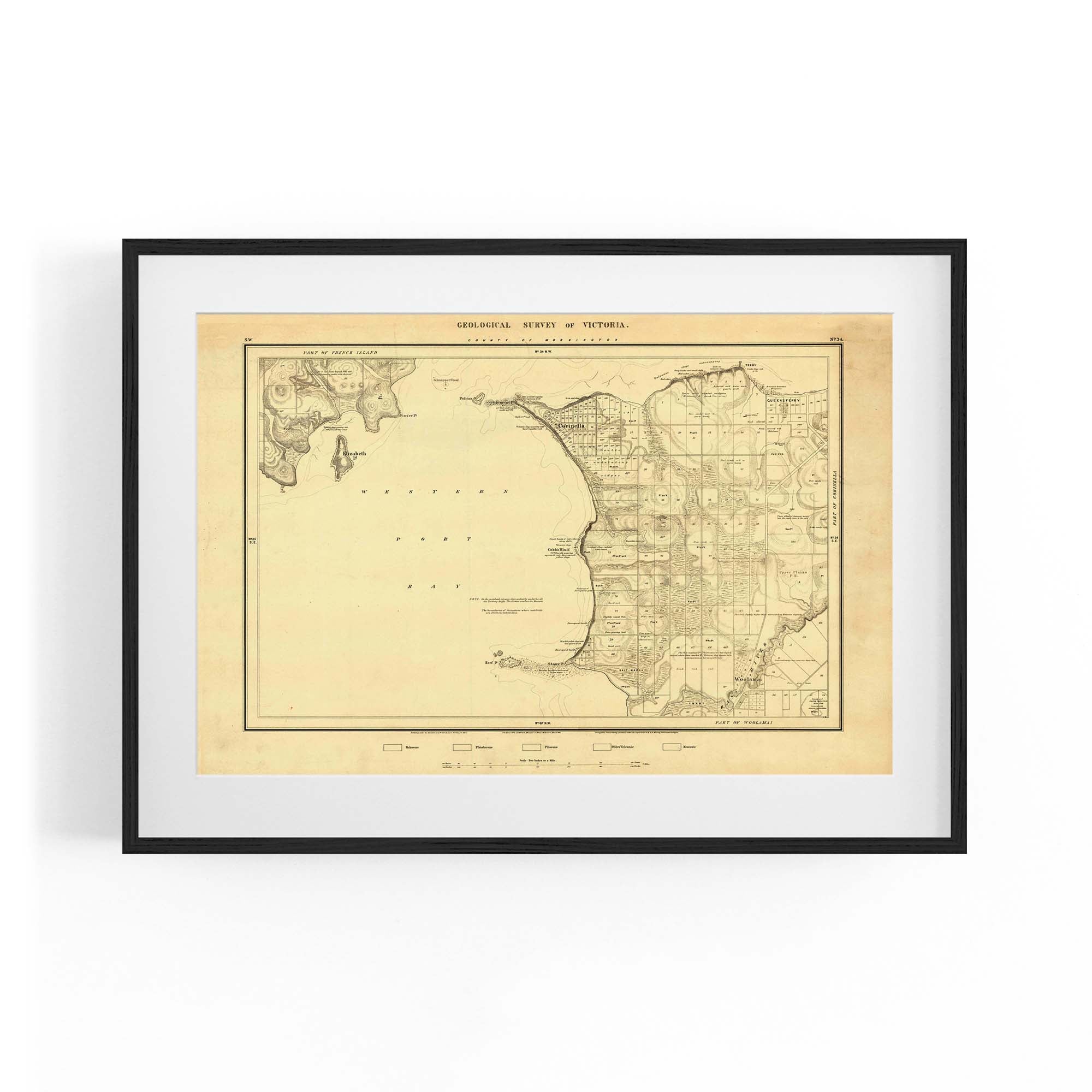 1893 Vintage Map Corinella, Victoria Australia – Vintage Maps