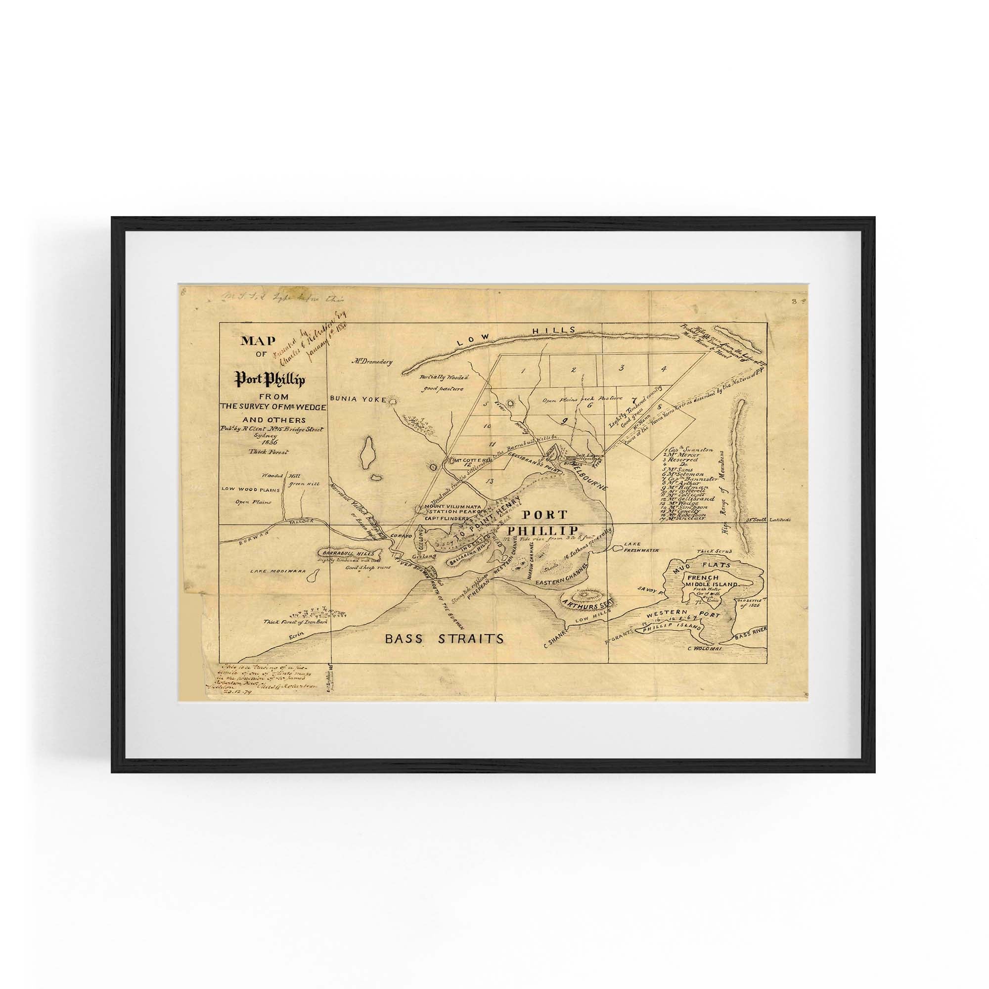 1879 Map of Port Phillip – Vintage Maps
