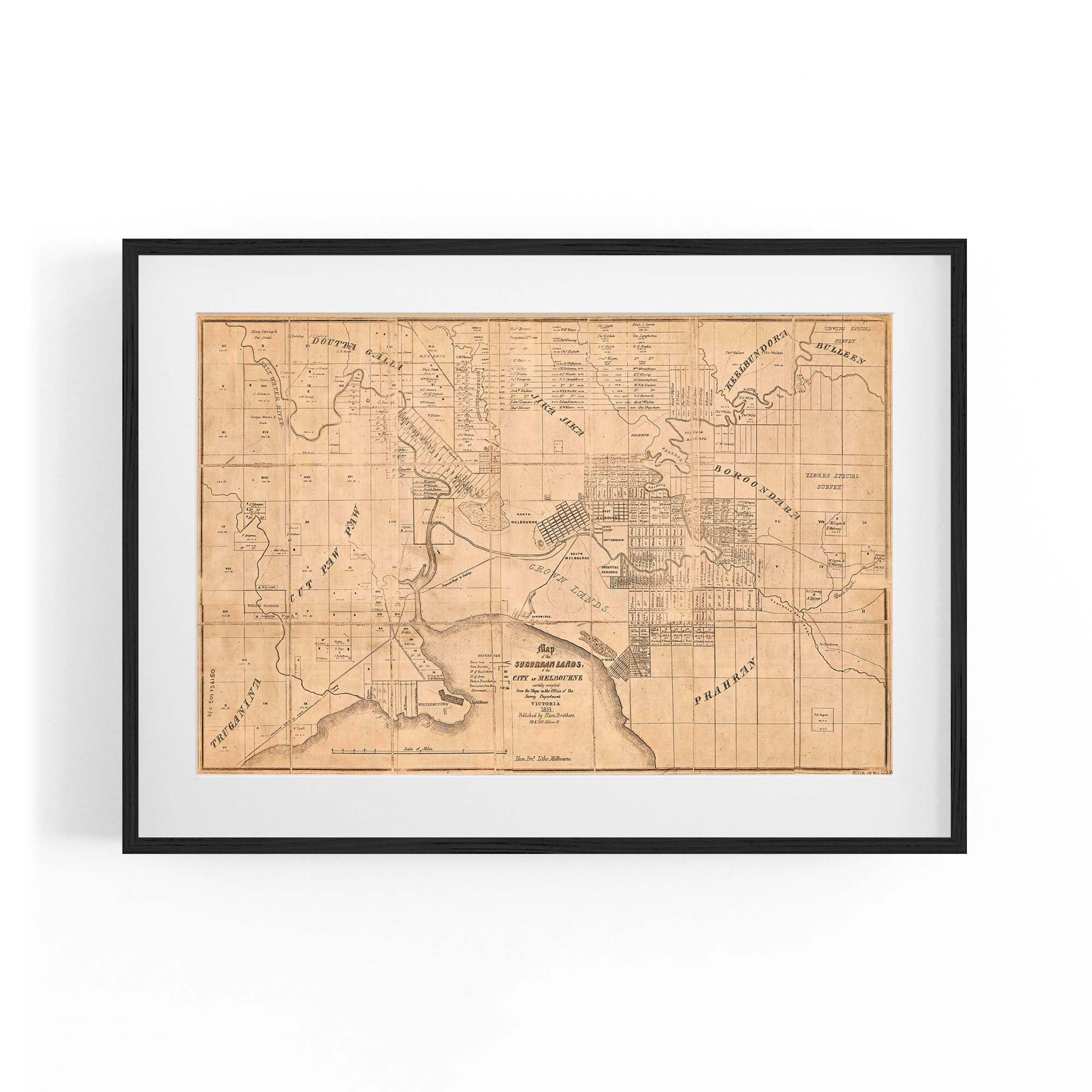 1851 Map of Melbourne and Suburbs – Vintage Maps