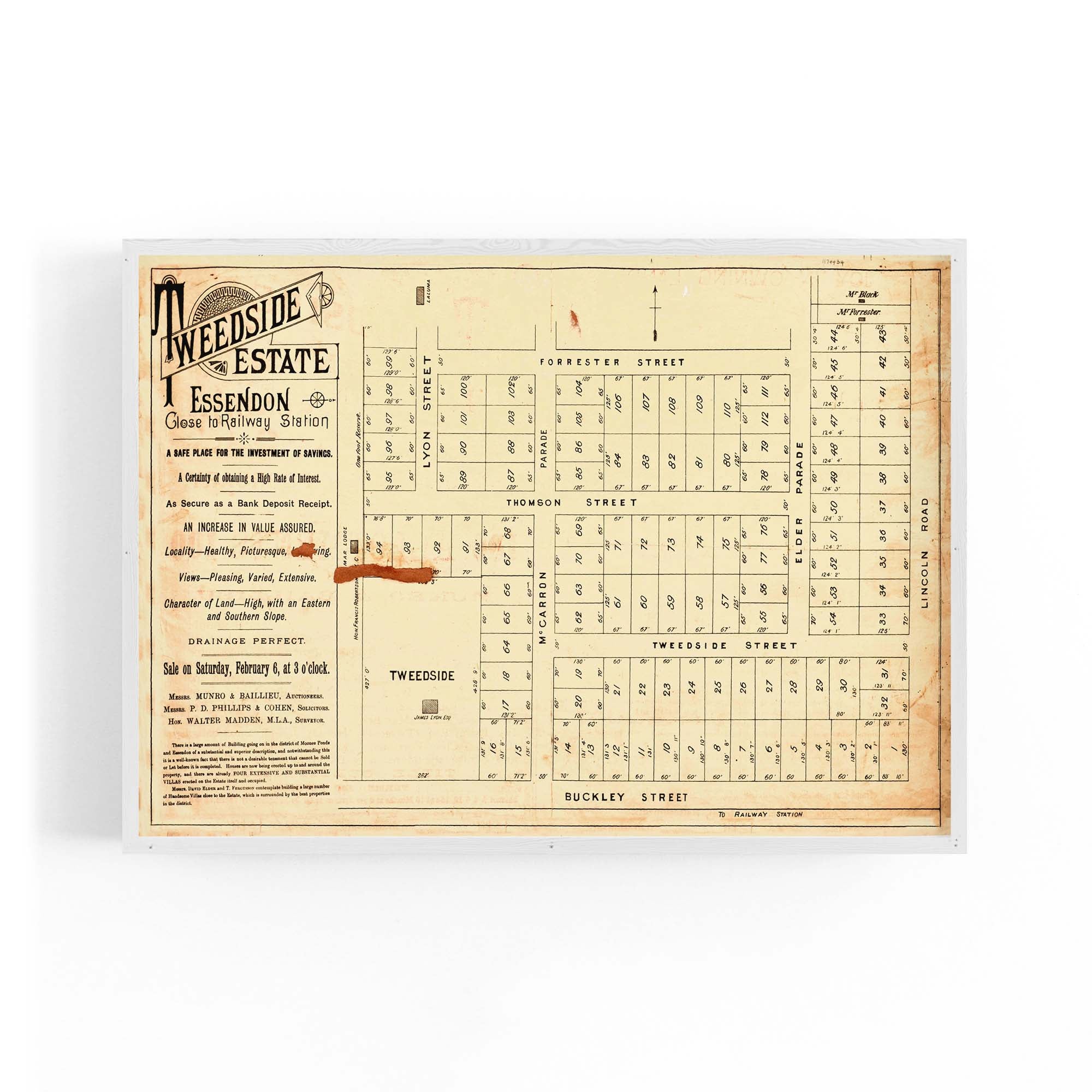 1886 Vintage Map of Essendon, Victoria Australia – Vintage Maps