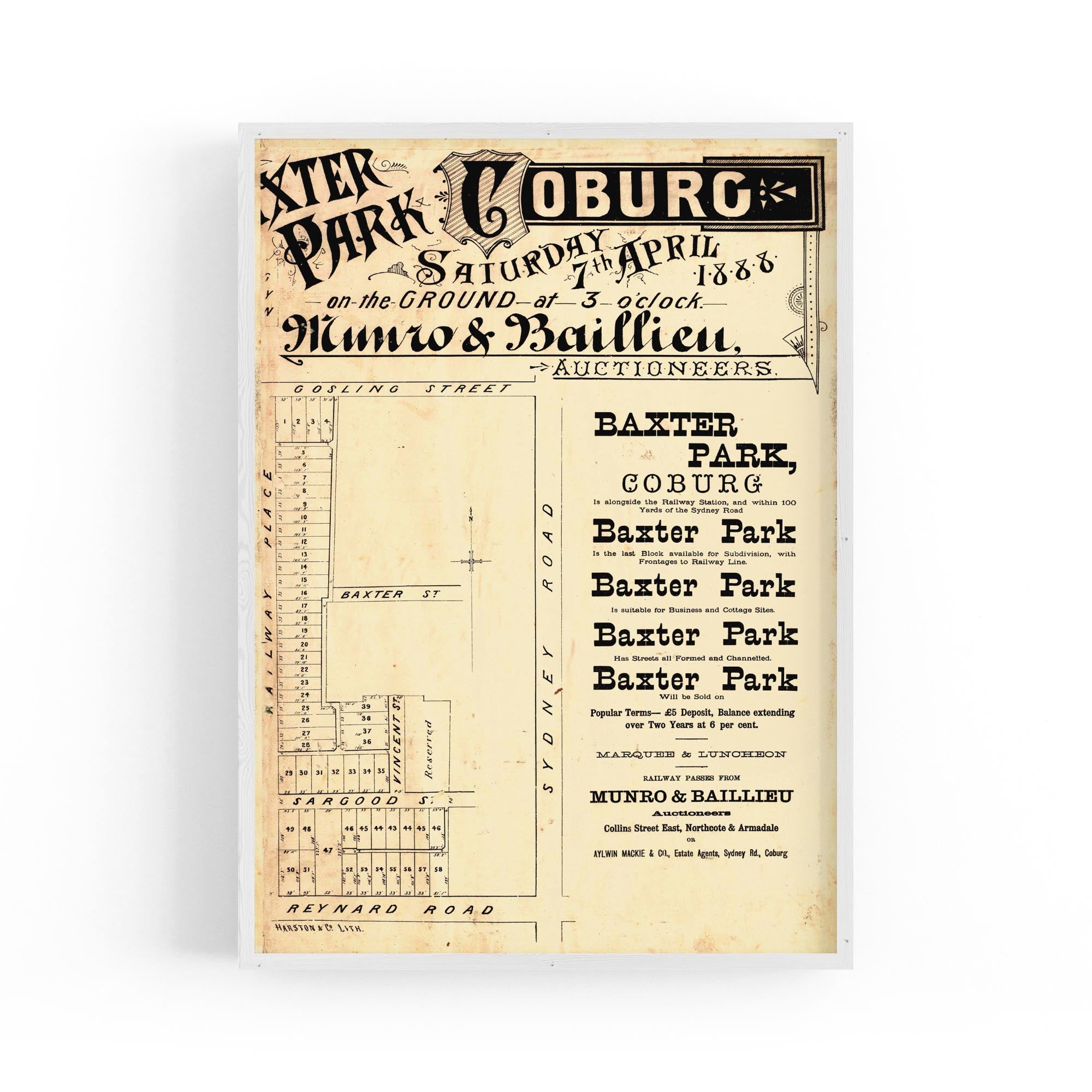 1888 Vintage Map of Coburg, Victoria Australia – Vintage Maps