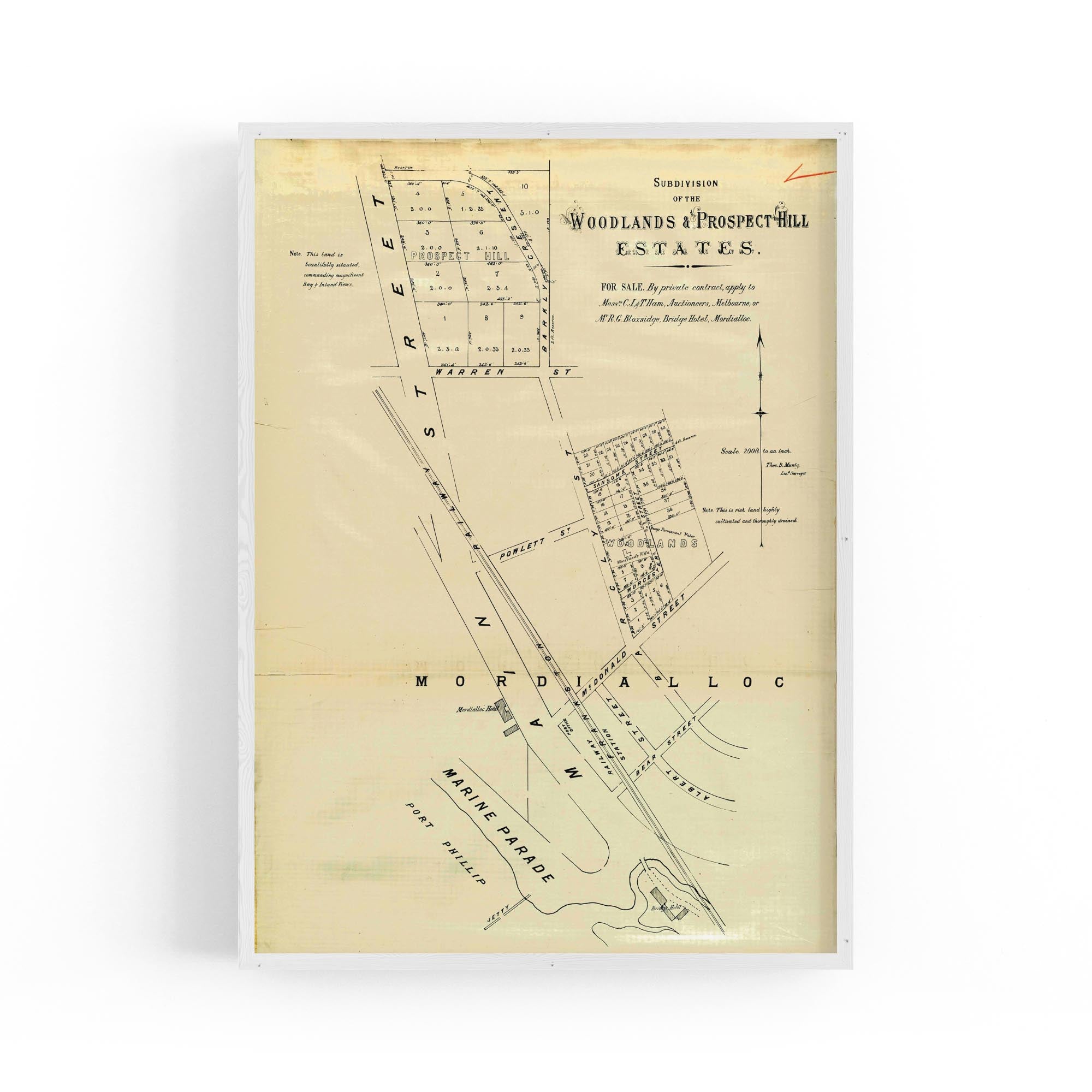 1800's Vintage Map of Mordialloc, Victoria Australia – Vintage Maps