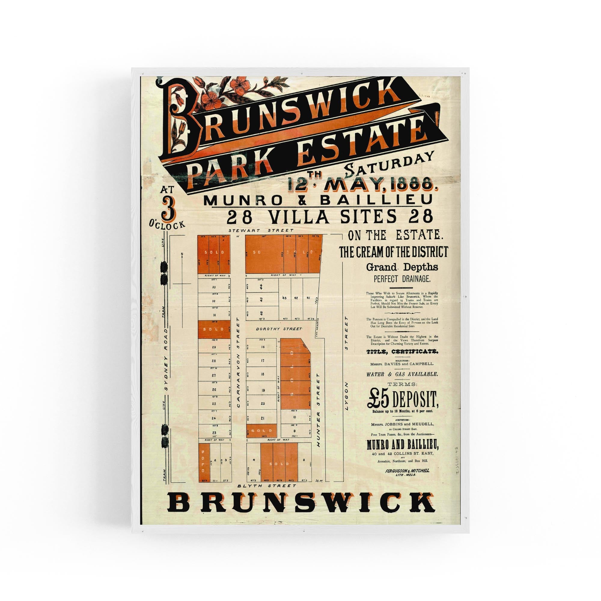 1888 Vintage Map of Brunswick, Victoria Australia – Vintage Maps