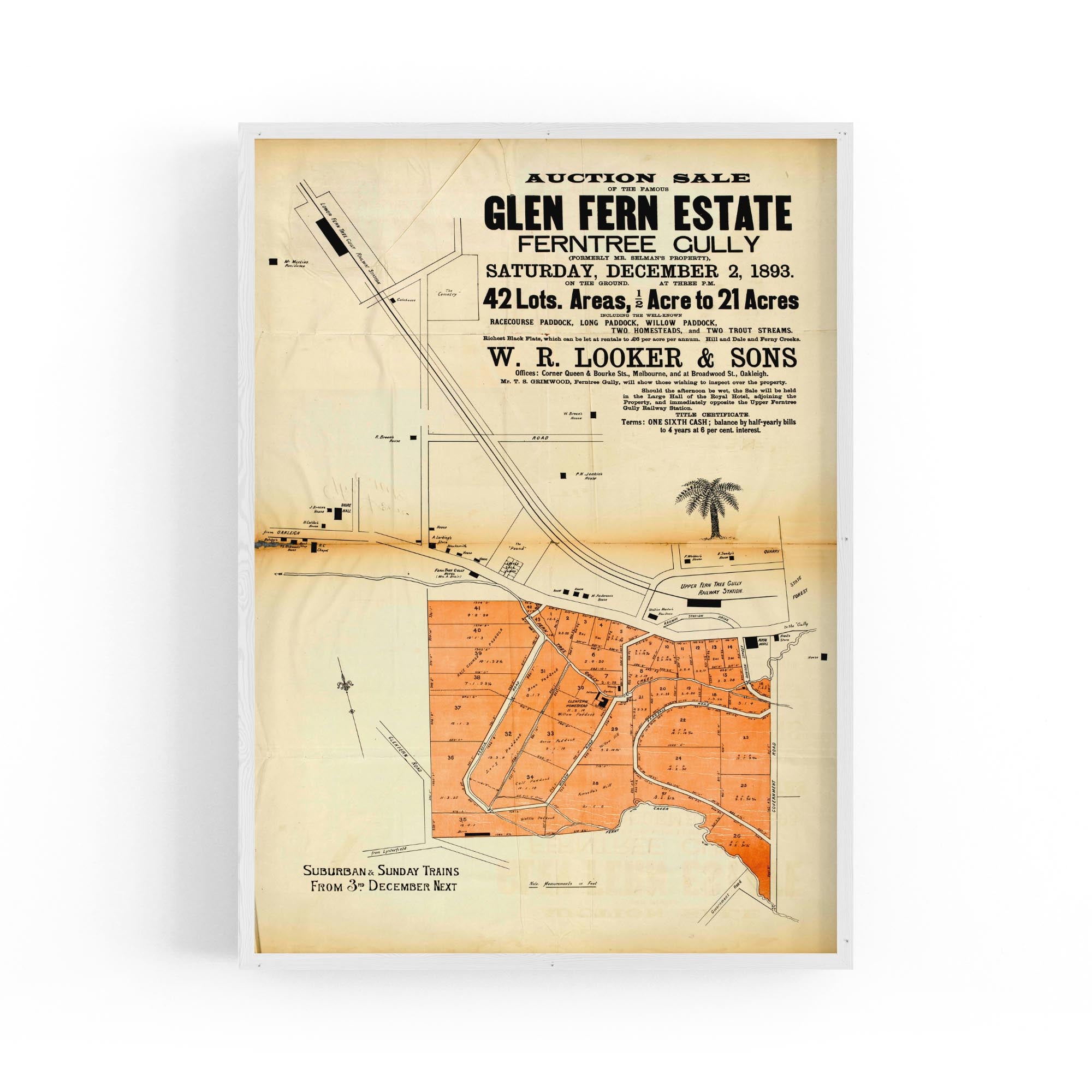1893 Vintage Map of Ferntree Gully, Victoria Australia – Vintage Maps