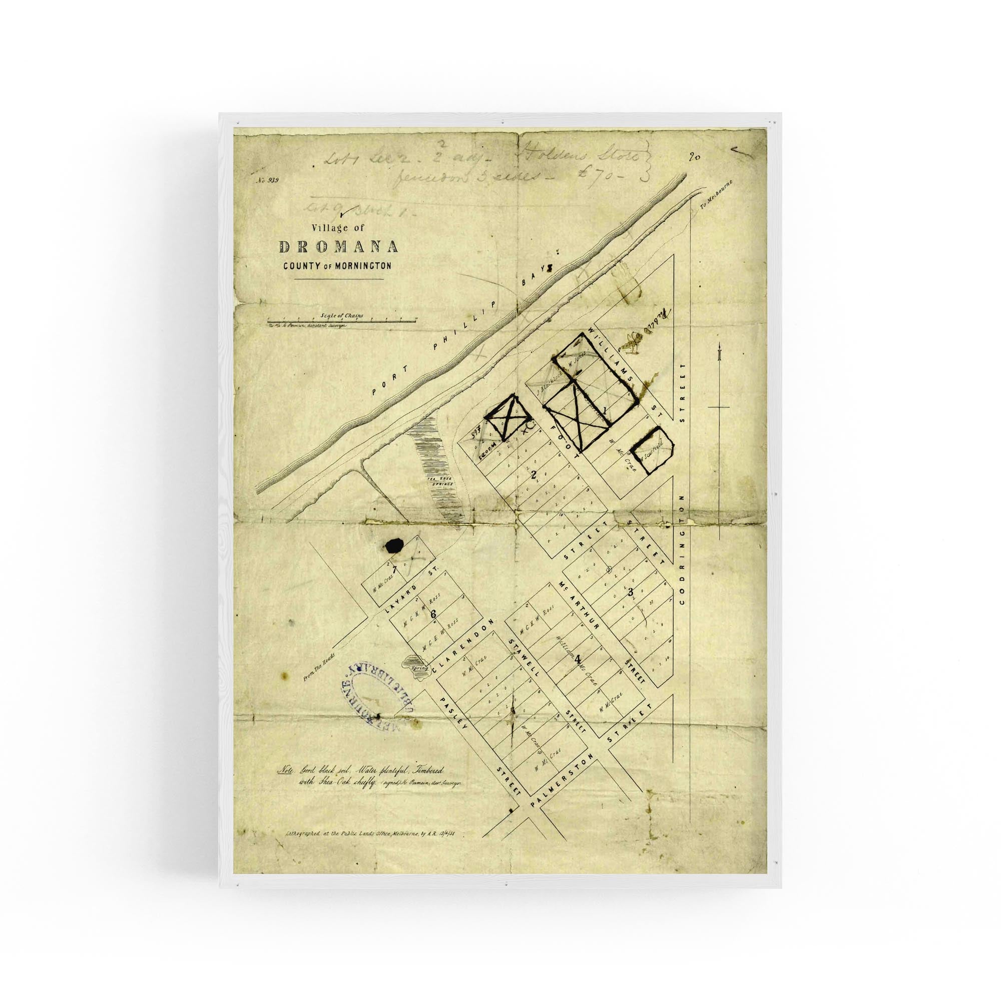 1858 Vintage Map of Dromana, Victoria – Vintage Maps