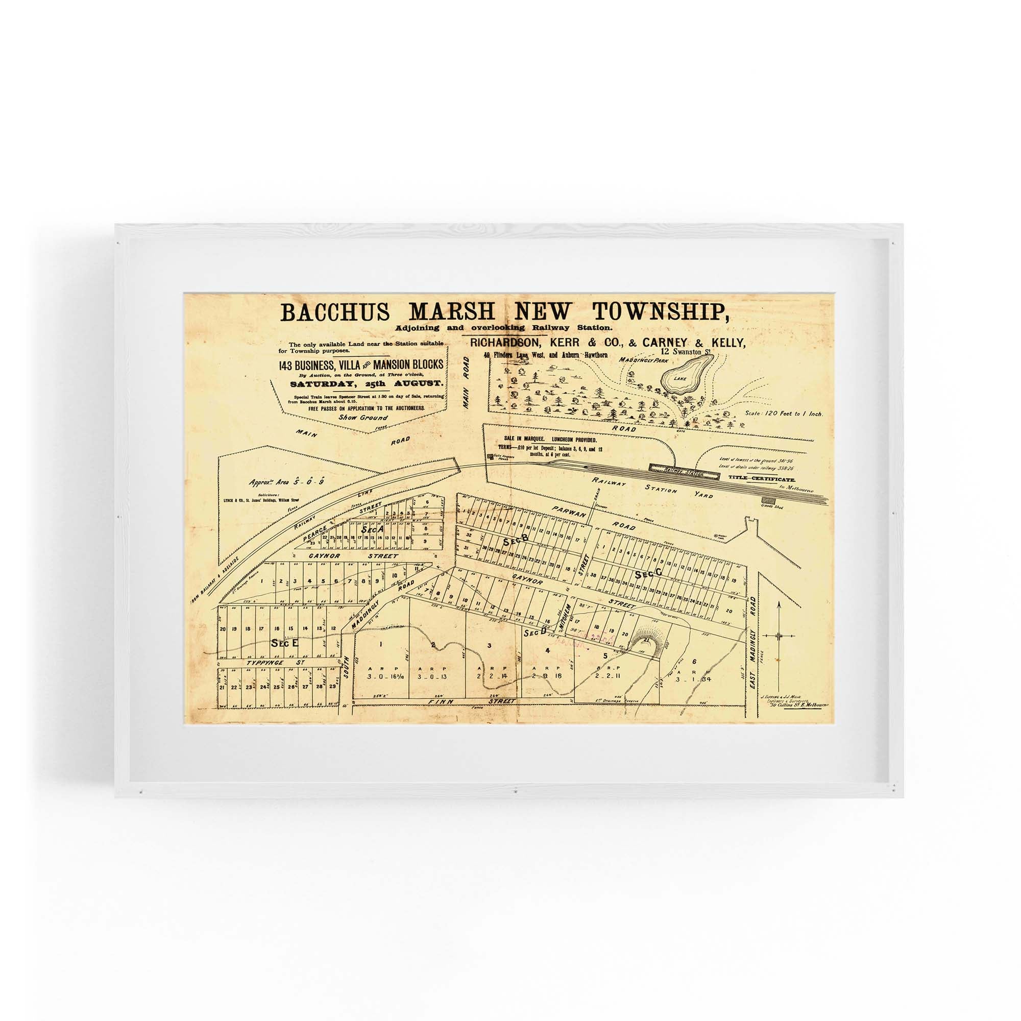 1888 Vintage Map of Bacchus Marsh, Victoria Australia – Vintage Maps