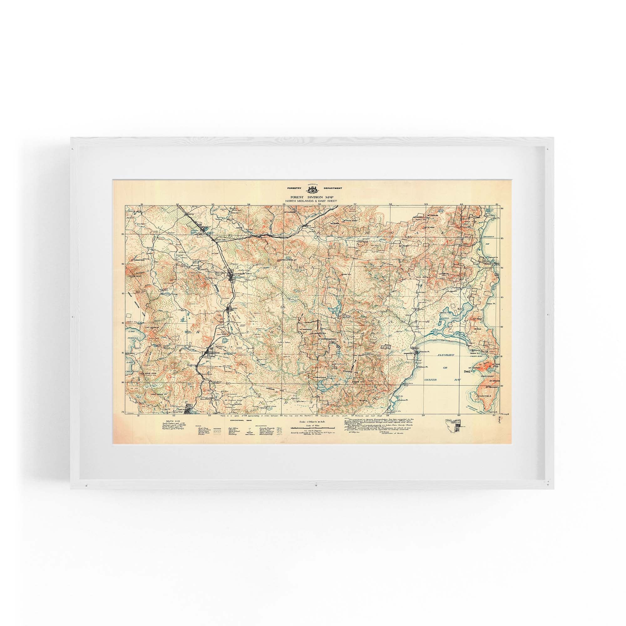 1944 Forest Division Map of Ross & Surrounds, Tasmania – Vintage Maps