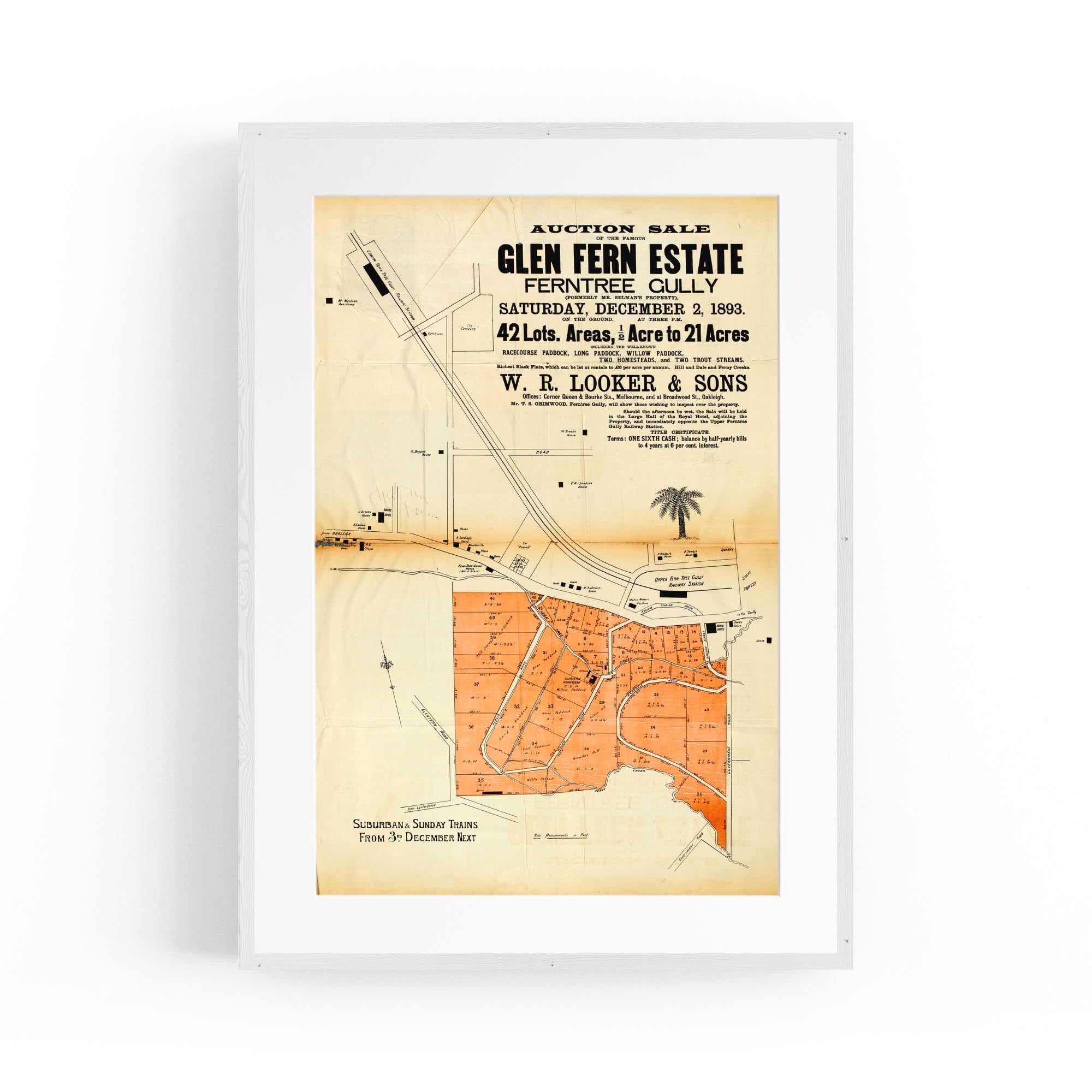 1893 Vintage Map of Ferntree Gully, Victoria Australia – Vintage Maps