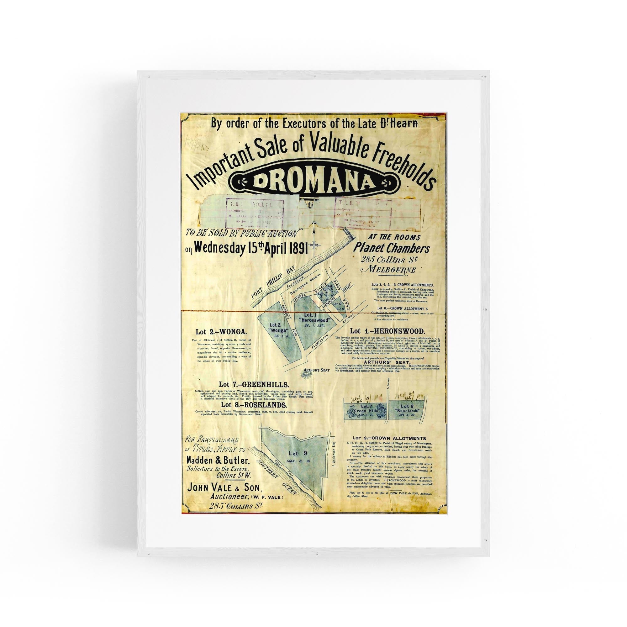 1891 Vintage Map of Dromana, Victoria Australia – Vintage Maps