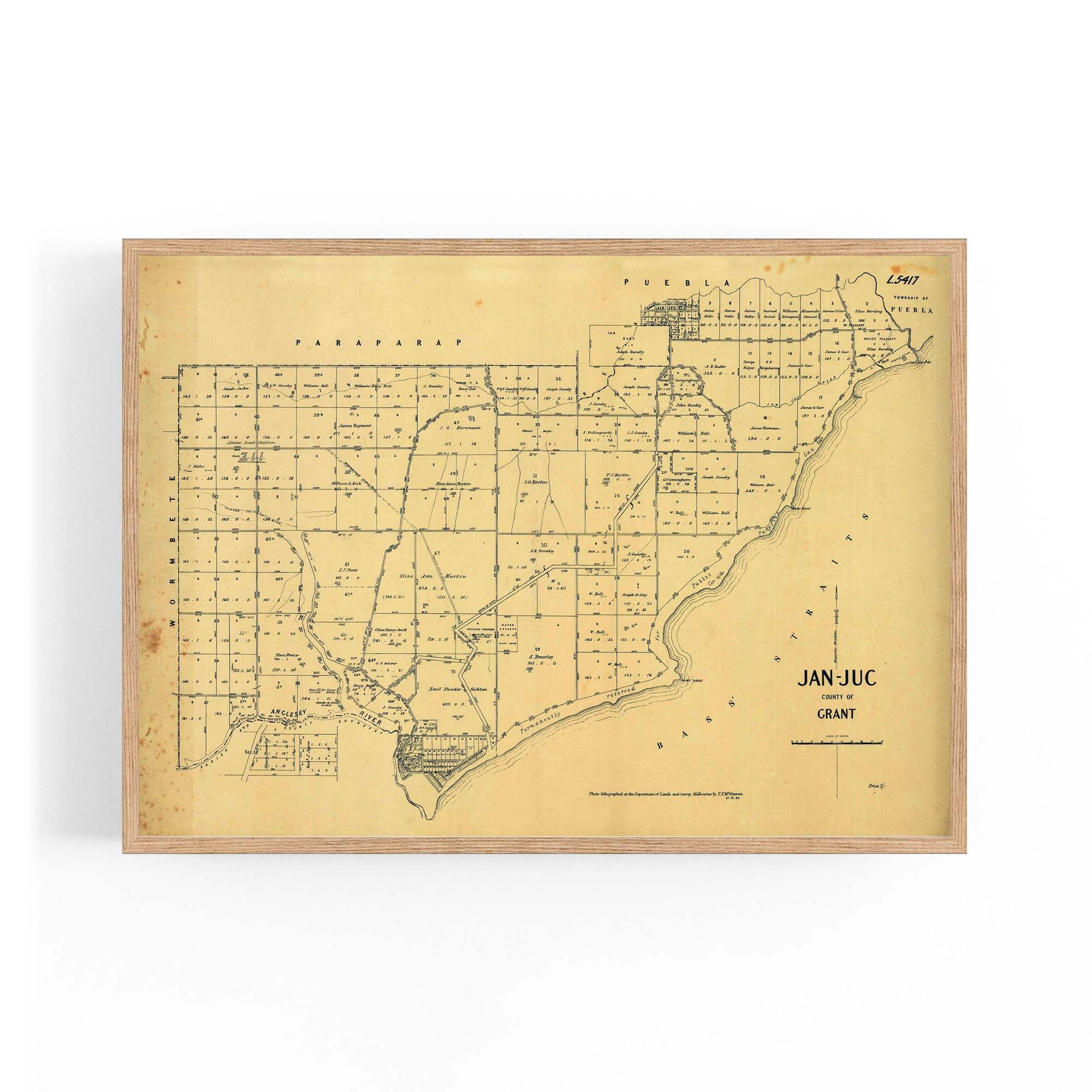 1889 Vintage Map of Anglesea, Victoria Australia – Vintage Maps