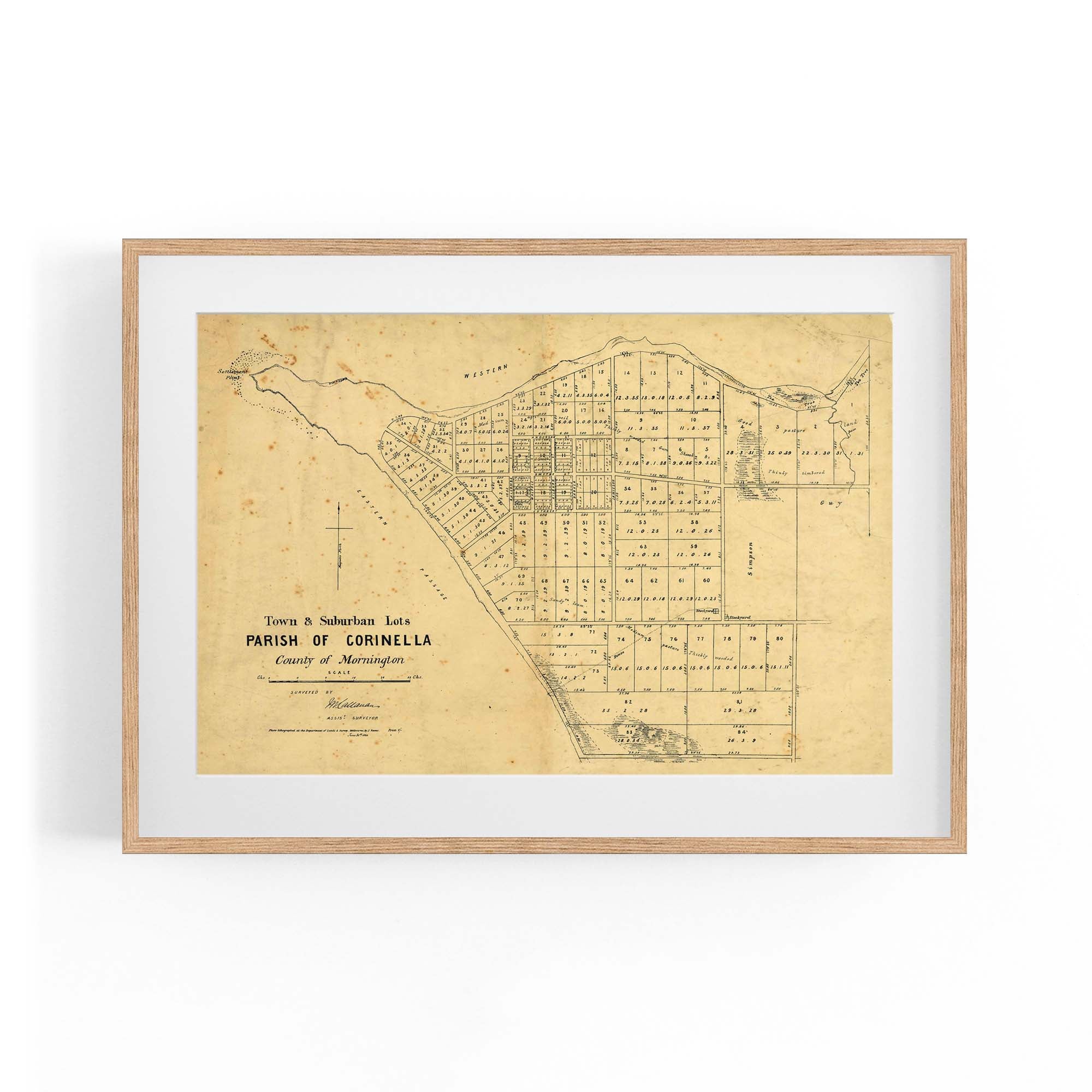 1864 Vintage Map of Corinella, Victoria Australia – Vintage Maps
