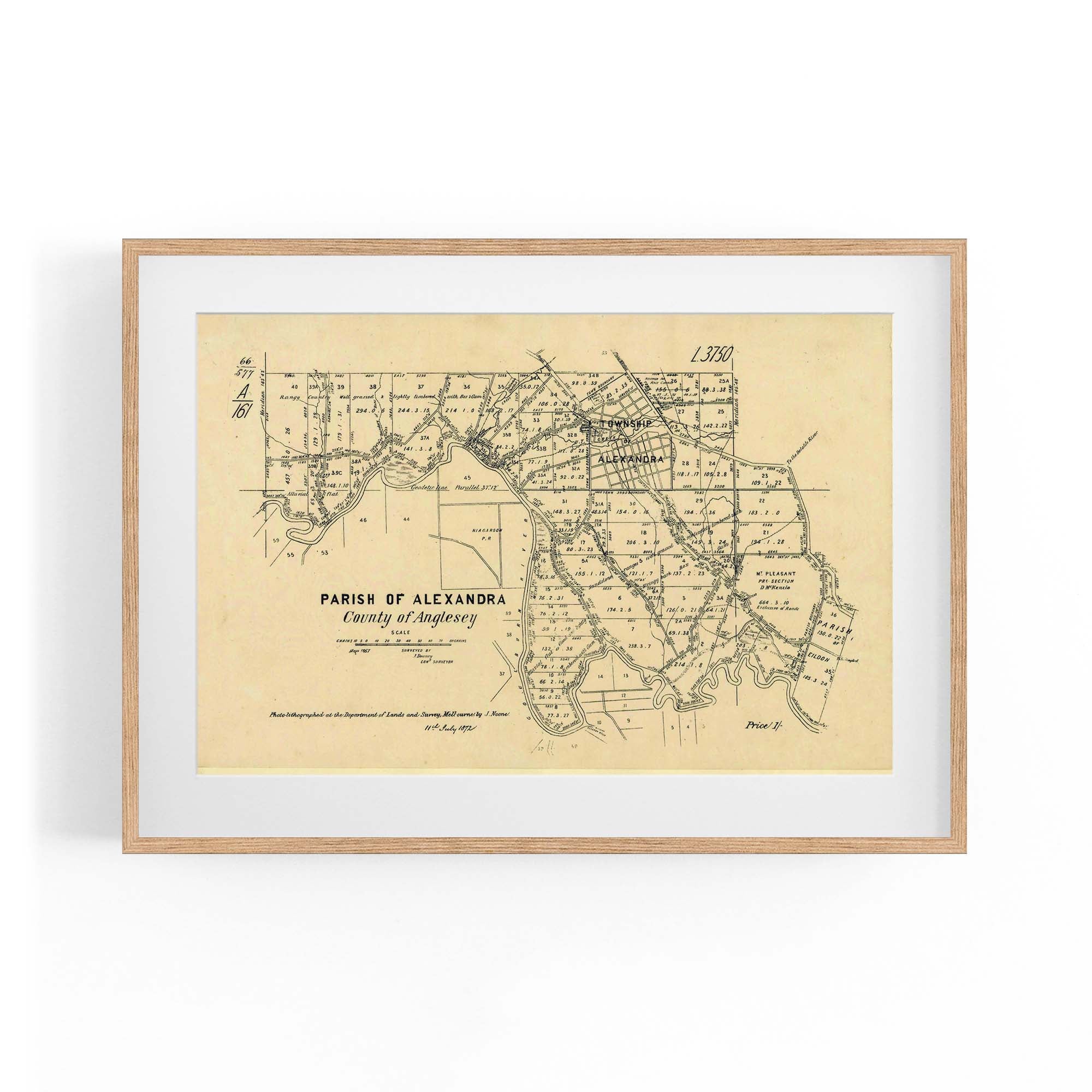 1872 Vintage Map of Alexandra, Victoria Australia – Vintage Maps