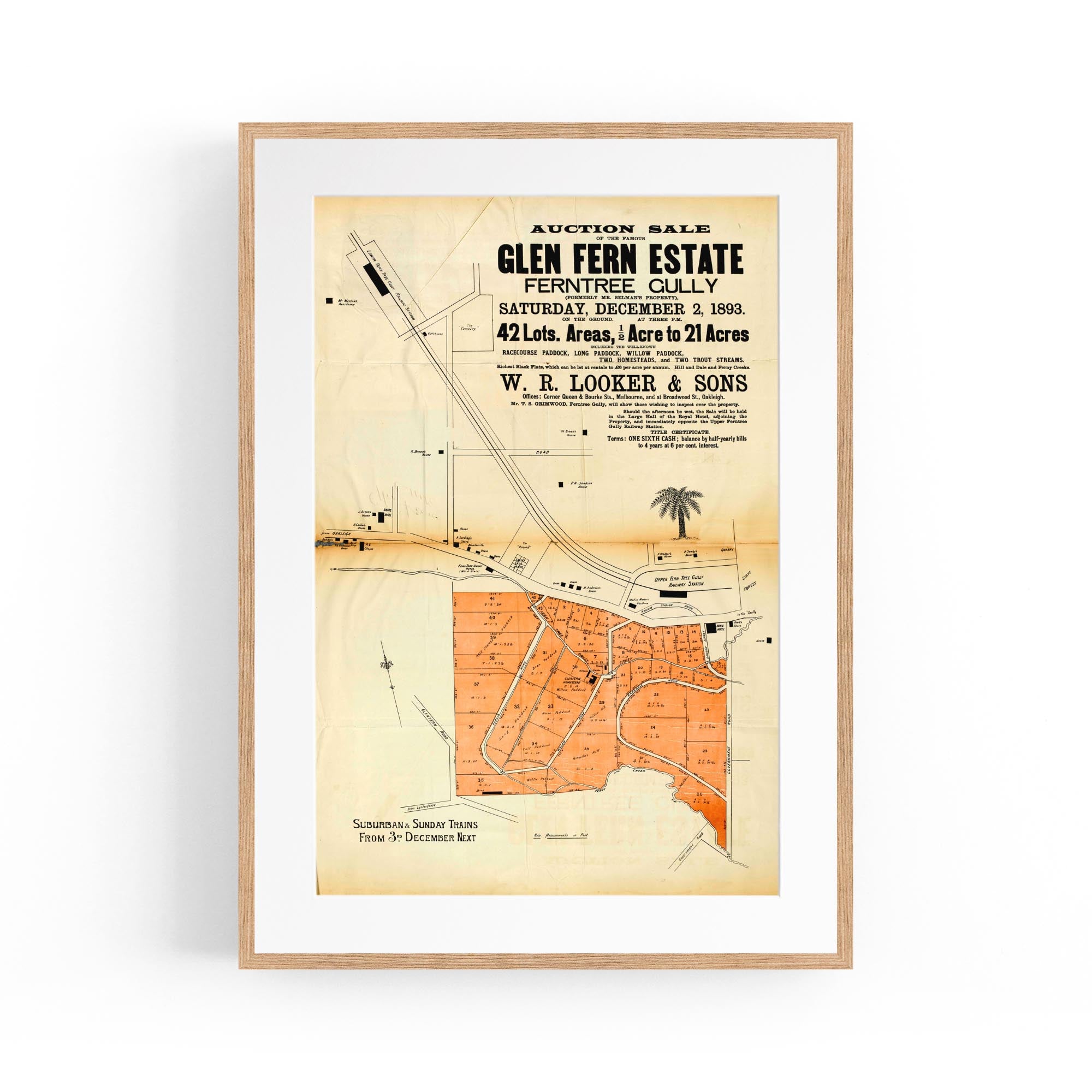 1893 Vintage Map of Ferntree Gully, Victoria Australia – Vintage Maps