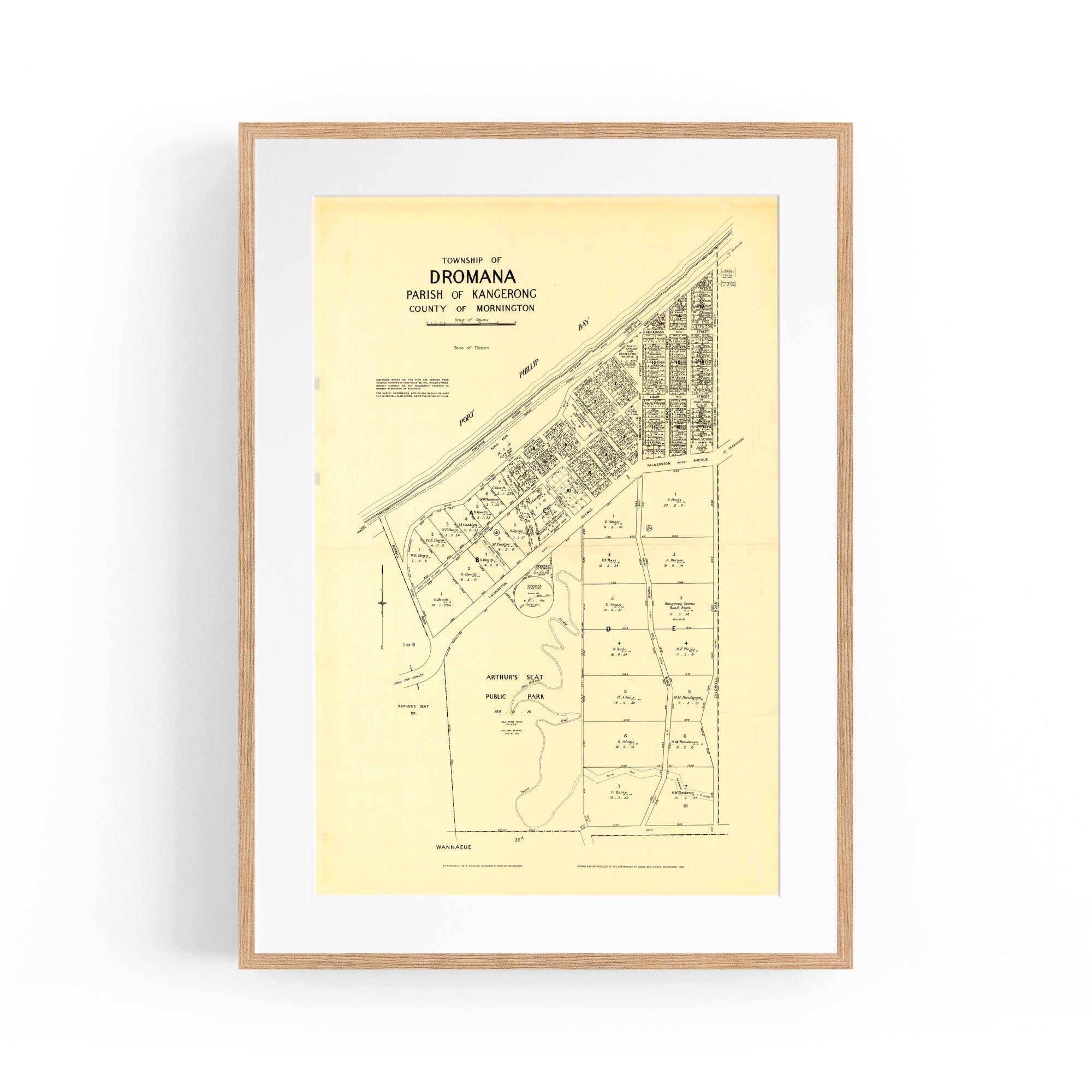 1856 Vintage Map of Dromana, Victoria Australia – Vintage Maps
