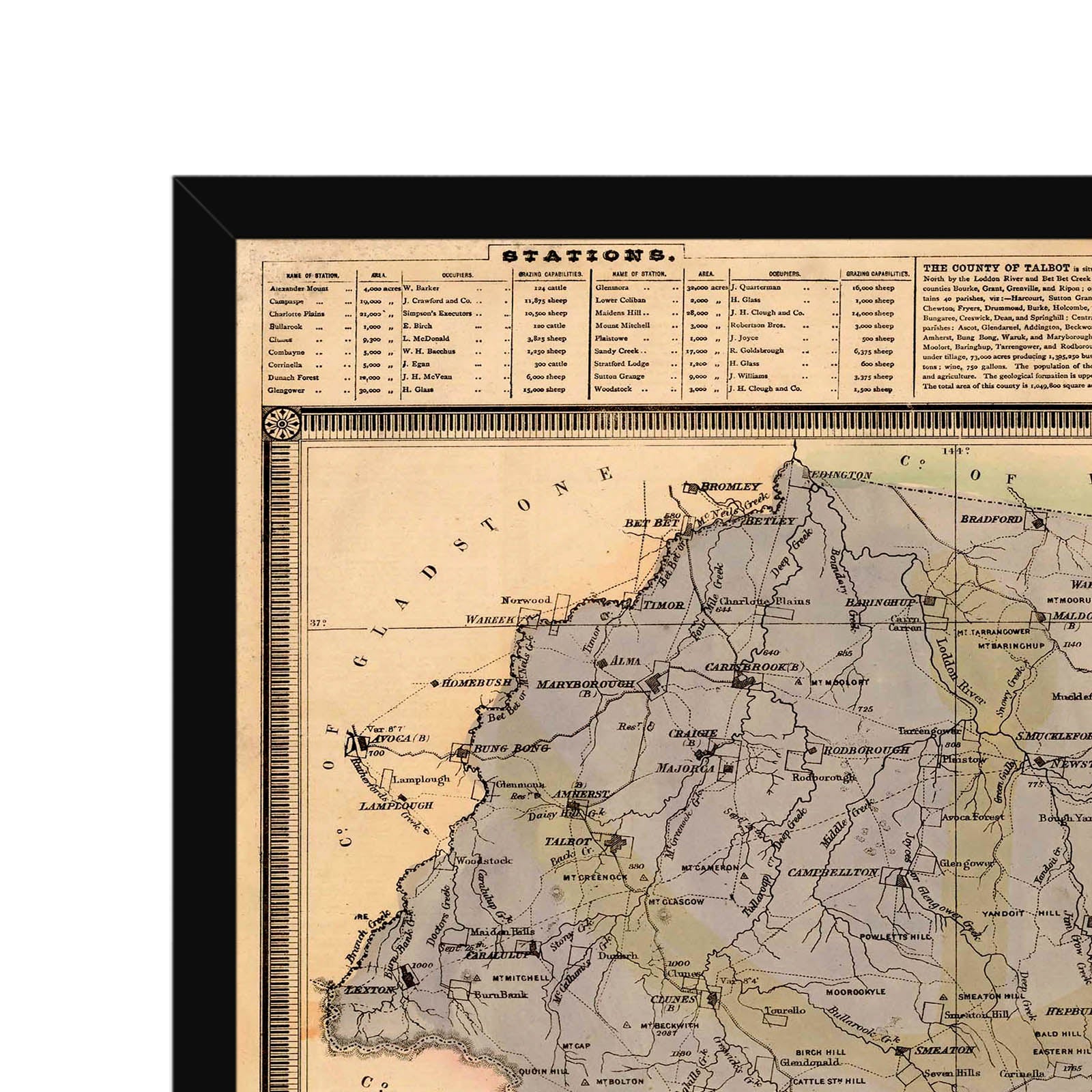 Castlemaine, Victoria Australia Vintage Map #4 (1874) – Vintage Maps
