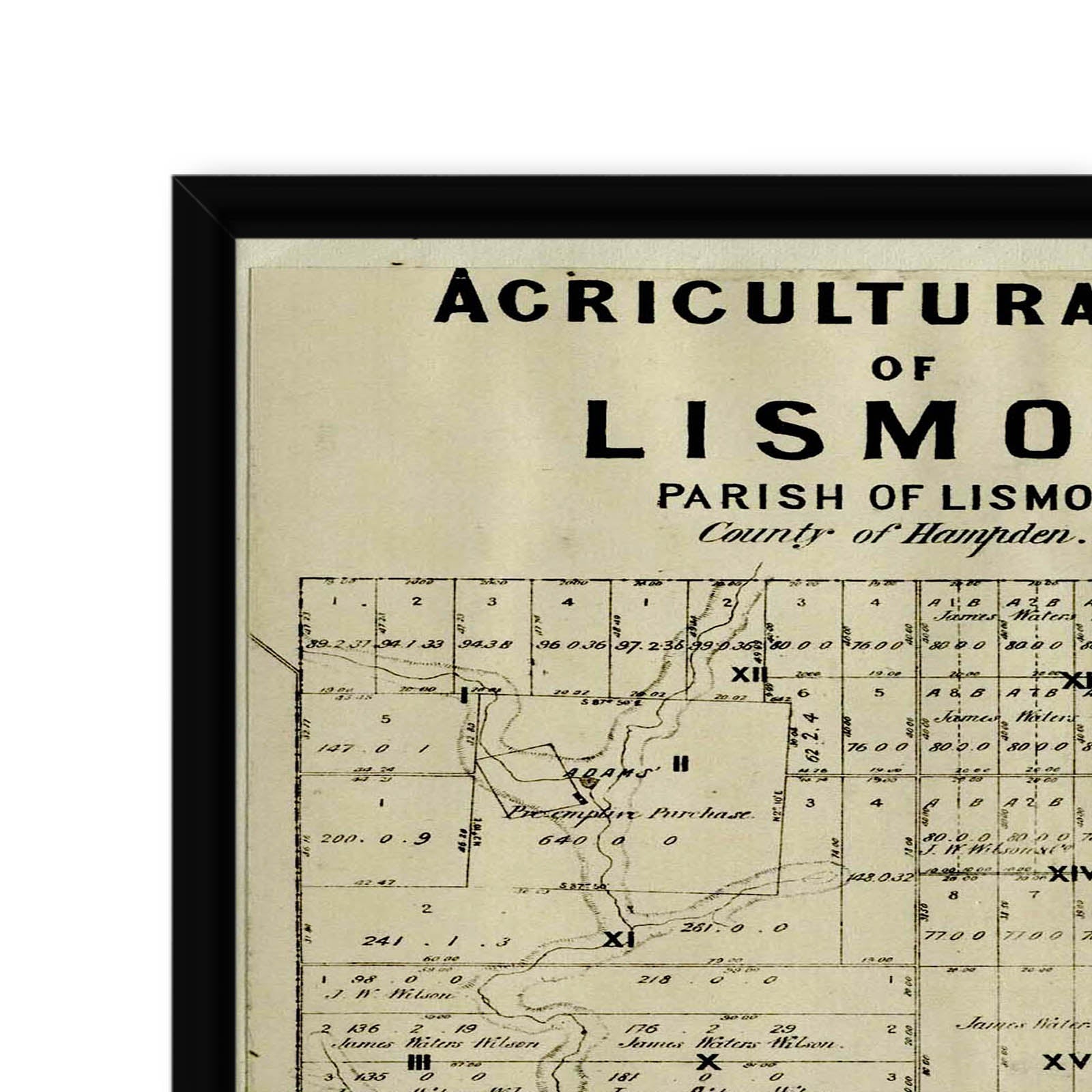Lismore, Victoria Australia Vintage Map #4 (1865) – Vintage Maps