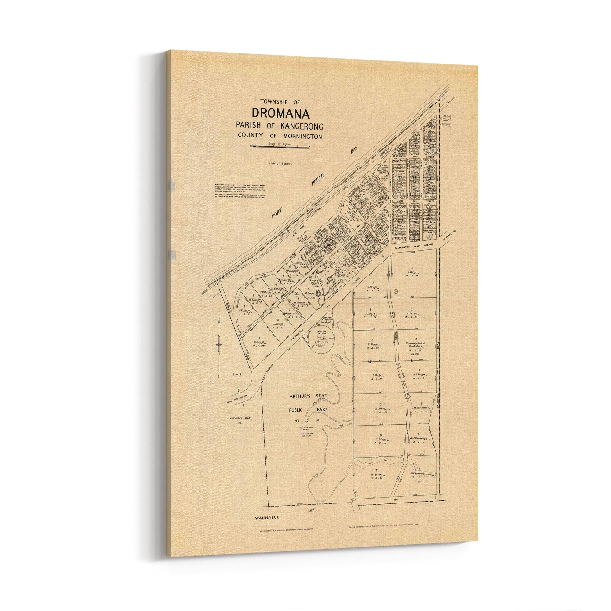 1856 Vintage Map of Dromana, Victoria Australia – Vintage Maps