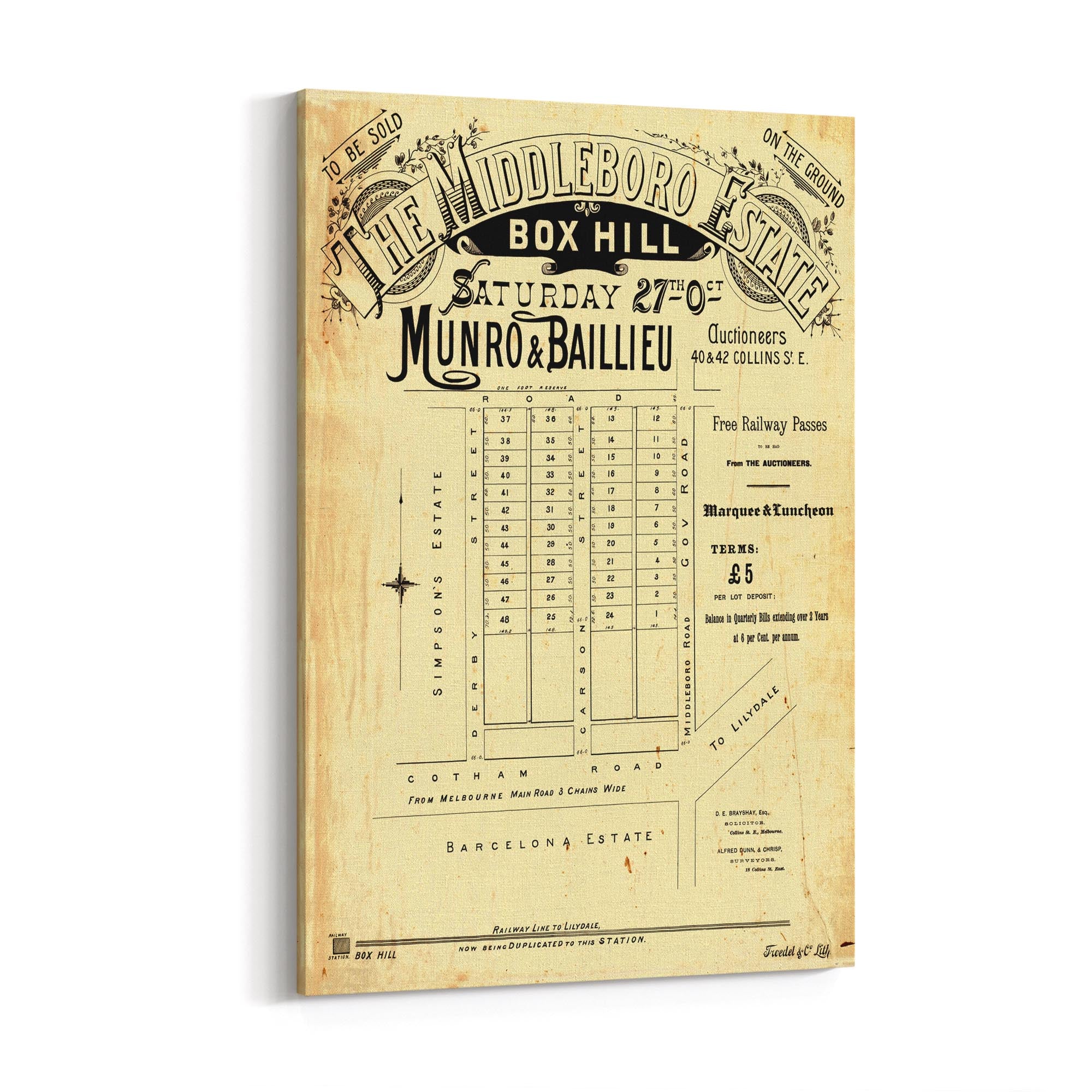 1888 Vintage Map of Box Hill, Victoria Australia – Vintage Maps
