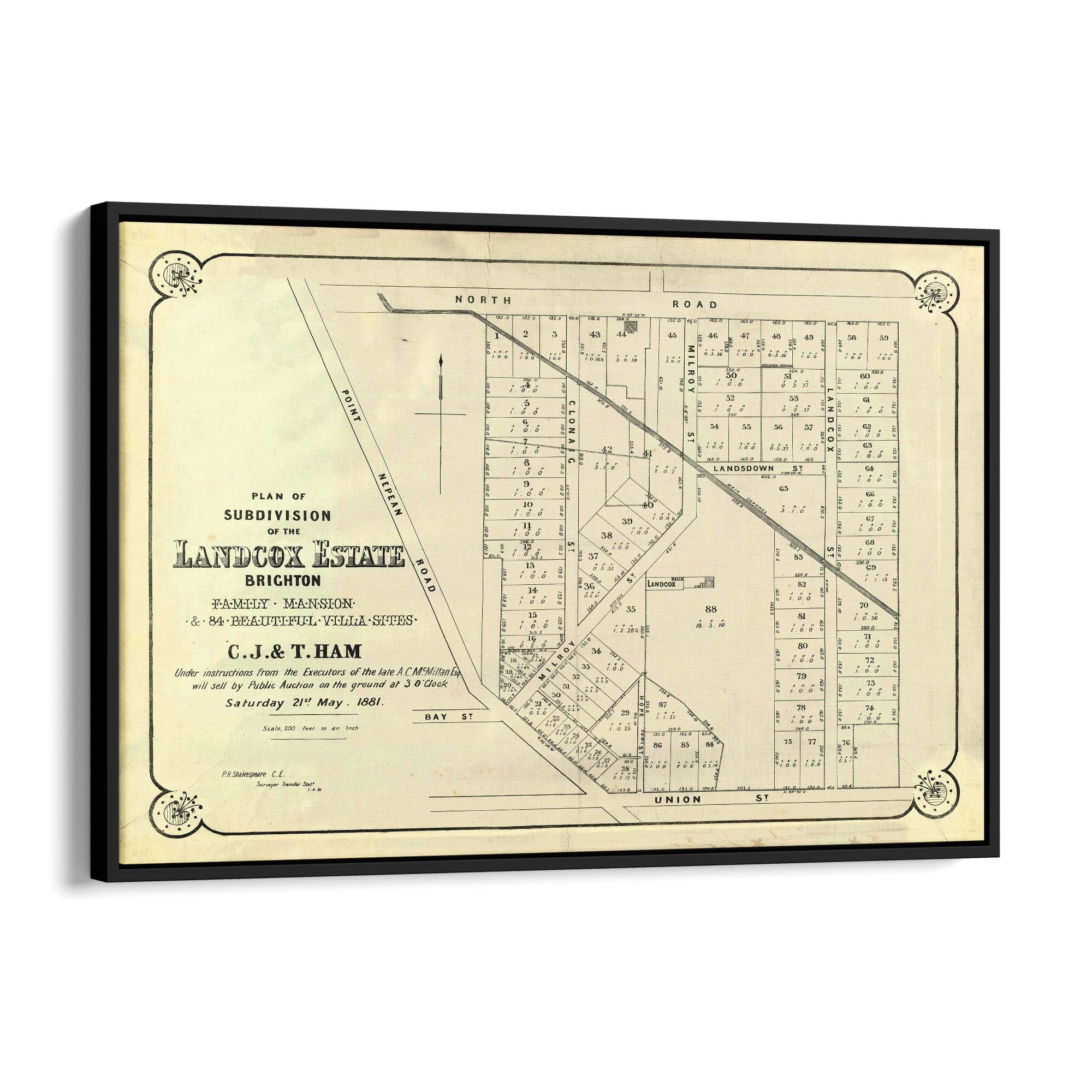 1881 Vintage Map of Brighton, Victoria Australia – Vintage Maps
