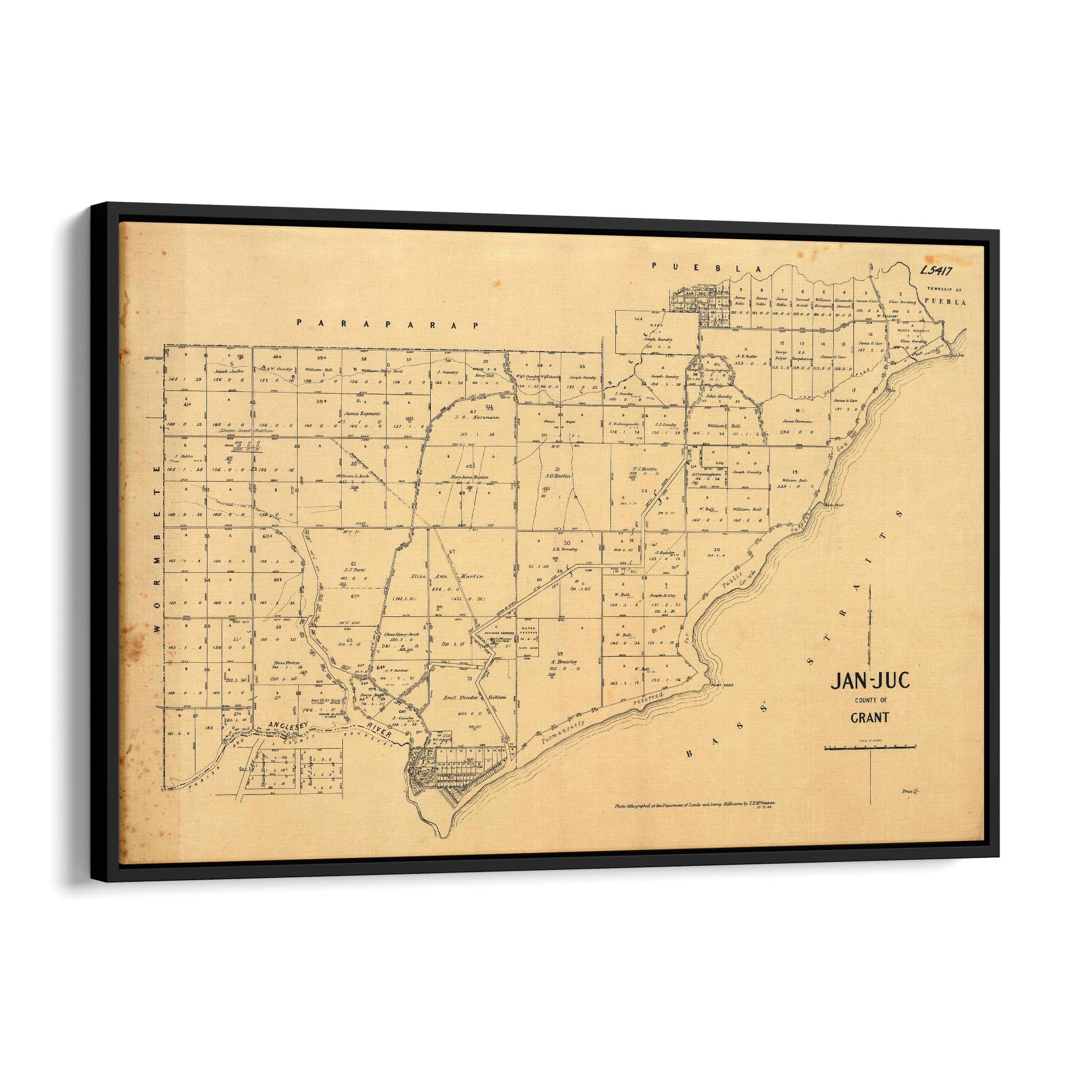 1889 Vintage Map of Anglesea, Victoria Australia – Vintage Maps
