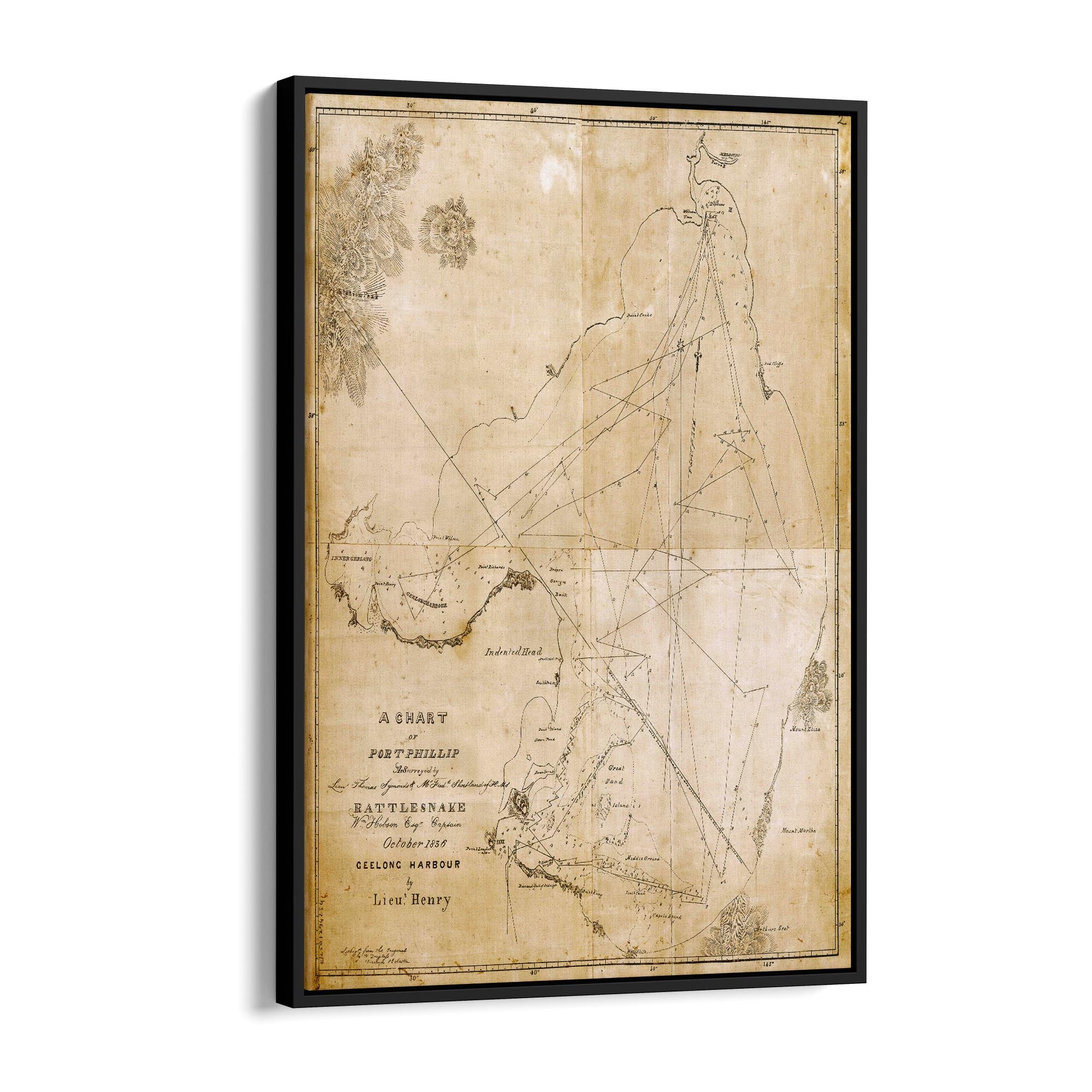 1836 Vintage Map of Melbourne, Victoria, Australia – Vintage Maps