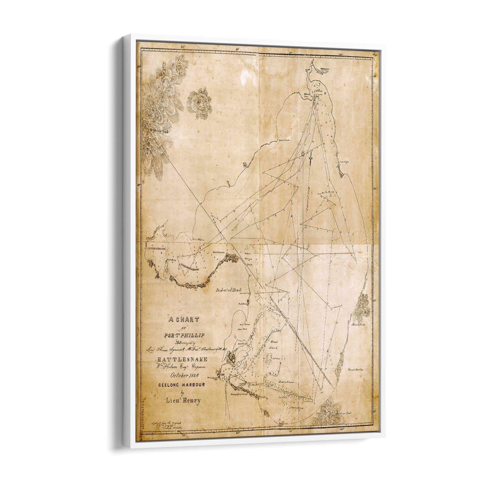 1836 Vintage Map of Melbourne, Victoria, Australia – Vintage Maps